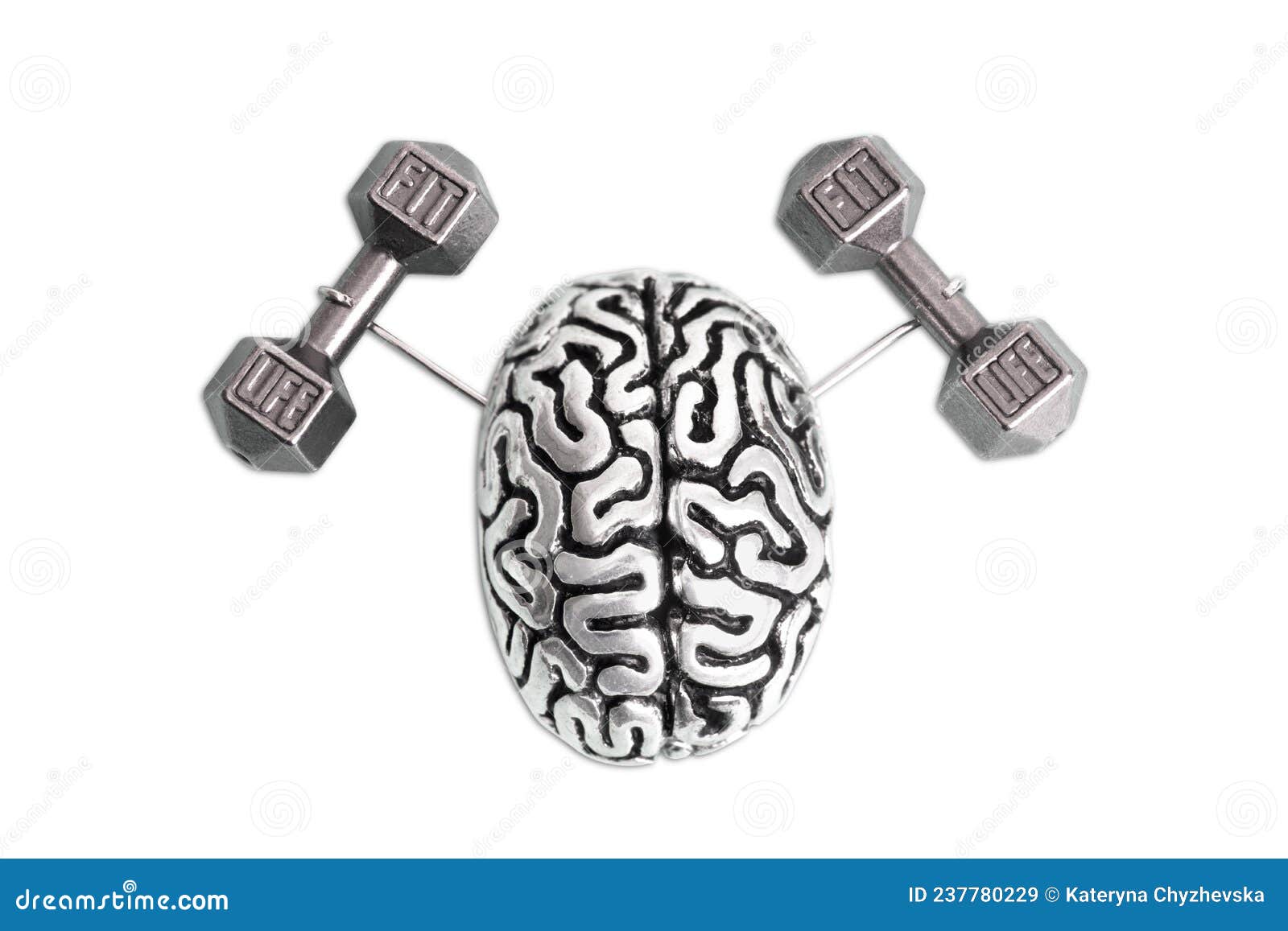 Human Brain Lifting Heavy Dumbbells on White Stock Image - Image of ...