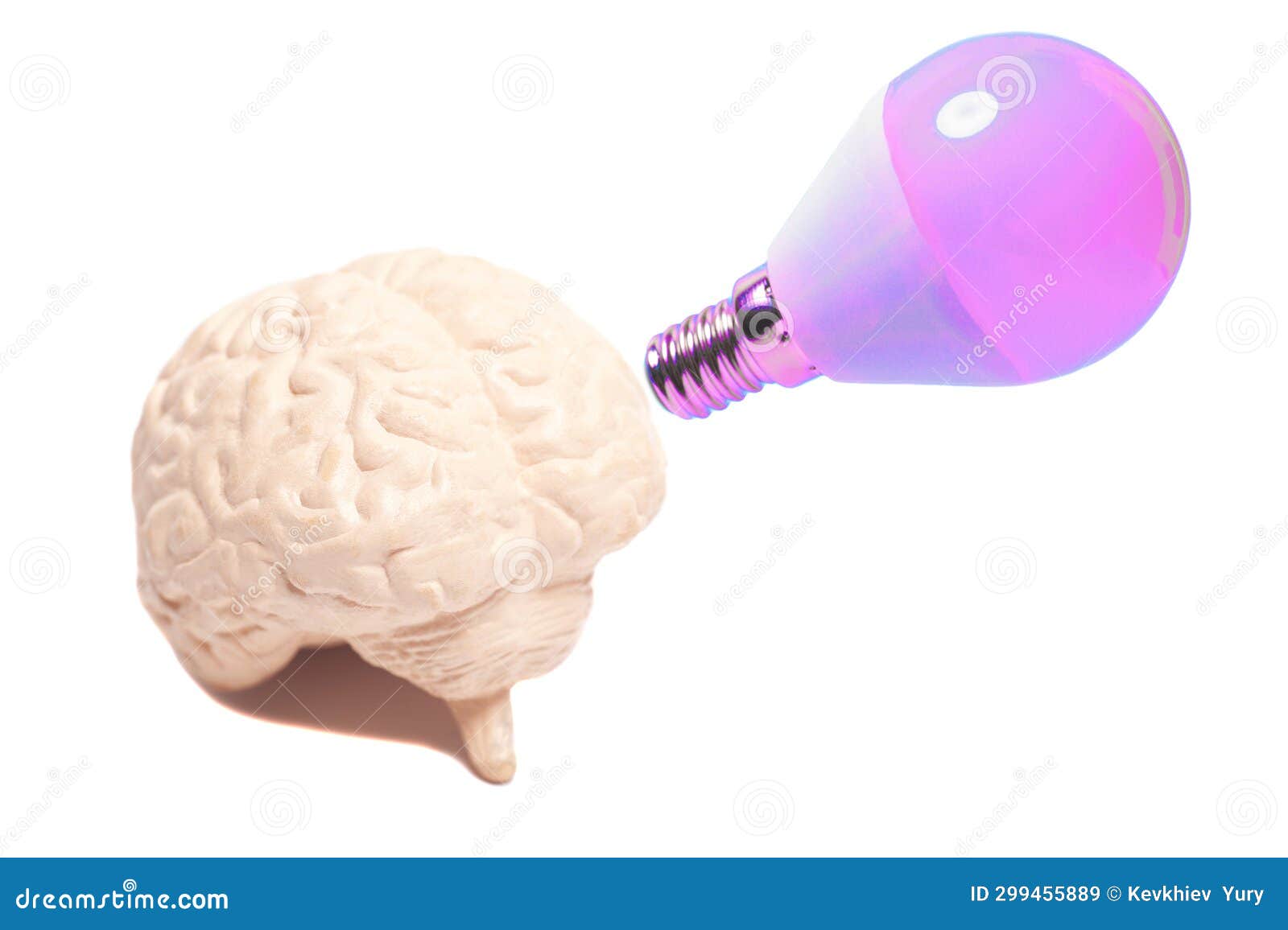 Human Brain with Light Bulb Stock Image - Image of planning, lobes ...