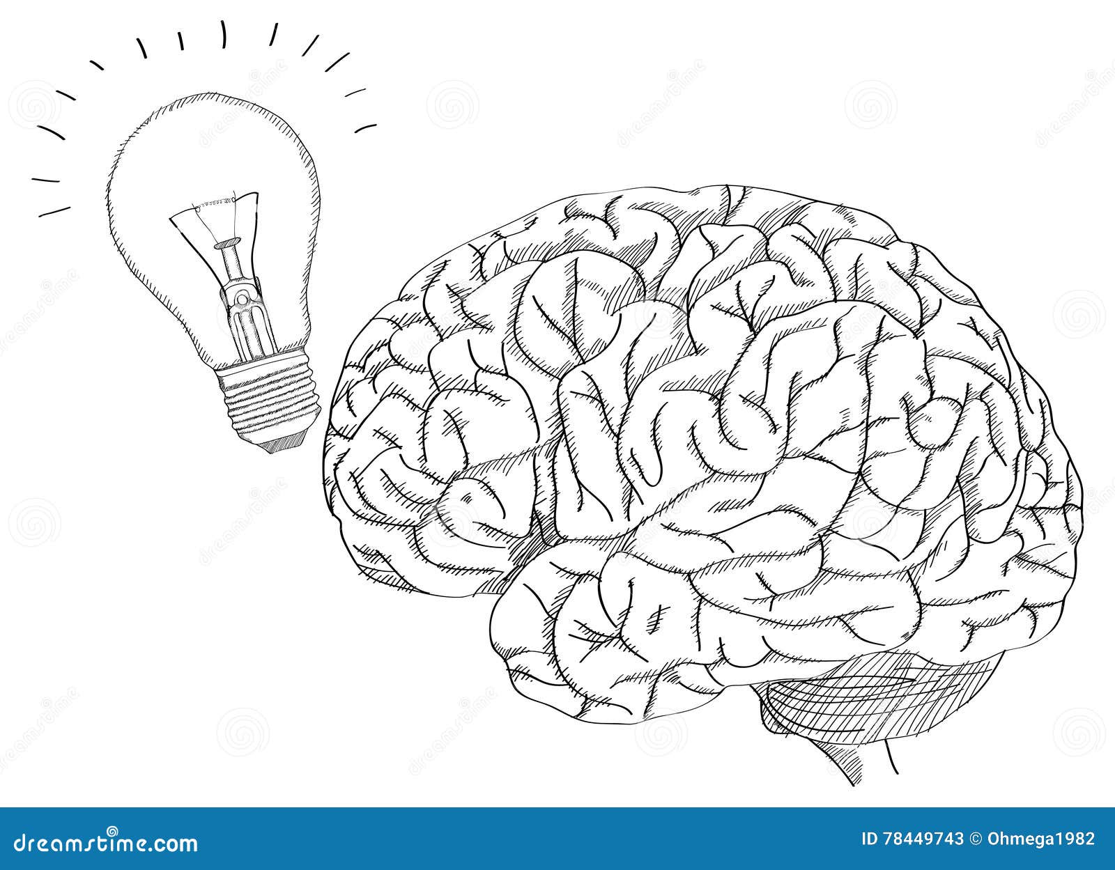 Human Brain with Light Bulb for Think Idea Concept Vector Outline ...