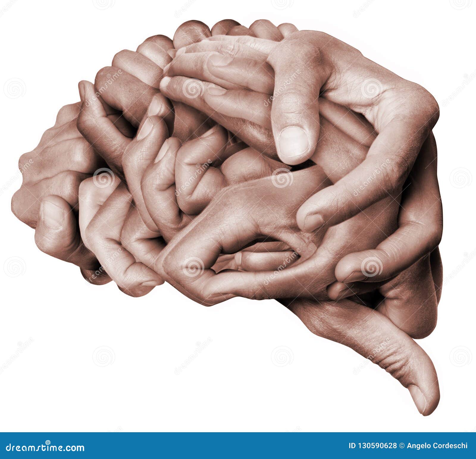 Human Brain Made with Hands Stock Photo - Image of genius, cool: 130590628 Human Brain Made with Hands Stock Photo - Image of genius, cool: 130590628