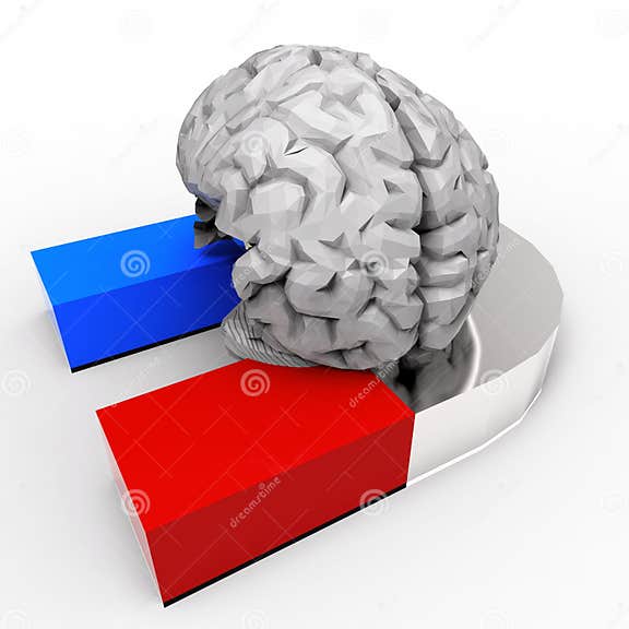 Human Brain and Magnet stock illustration. Illustration of science ...