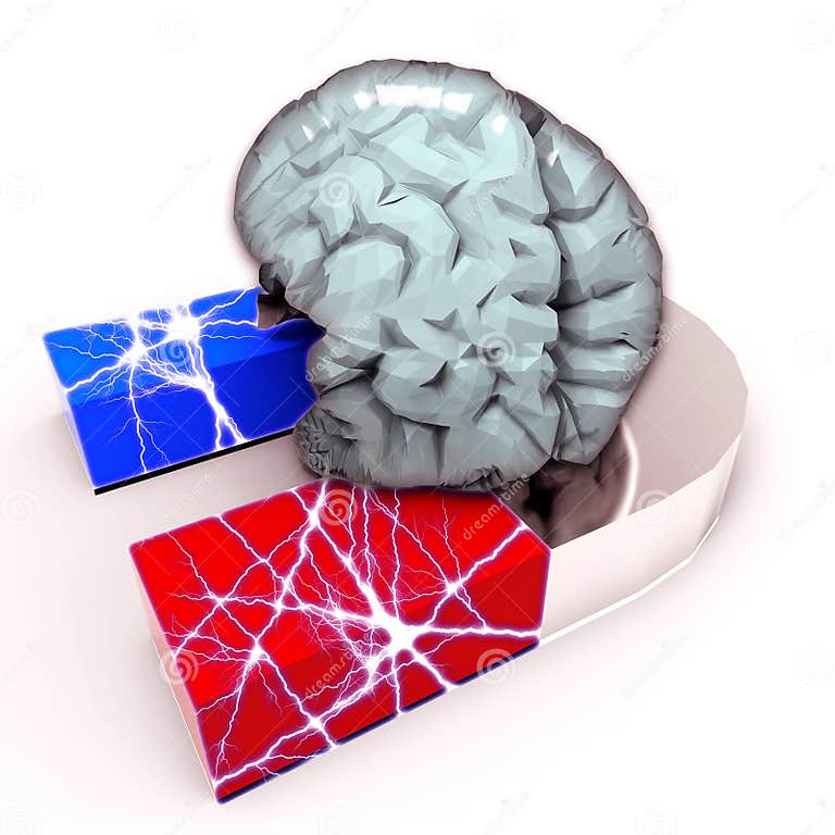 Human Brain and Magnet stock illustration. Illustration of organ - 40219319