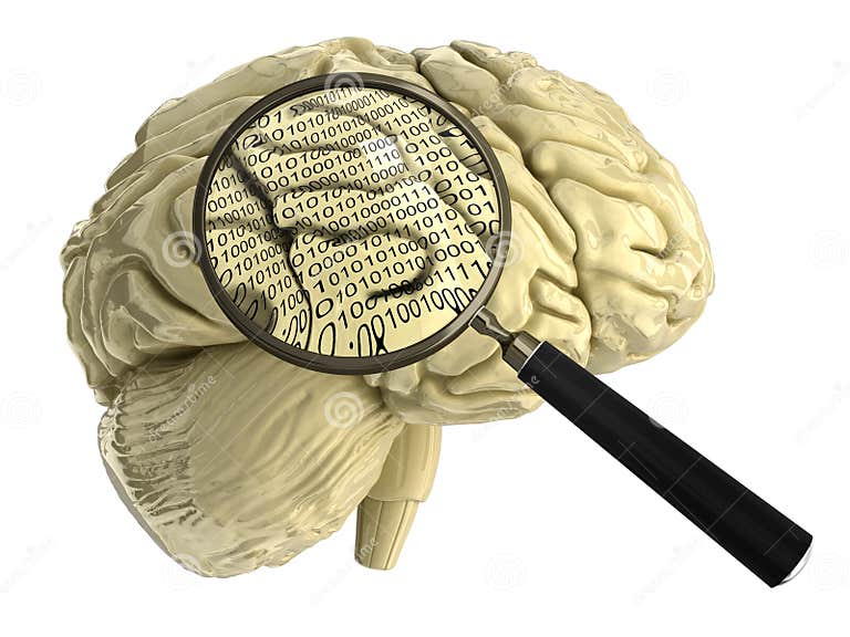 Human Brain with Magnifying Glass Stock Illustration - Illustration of ...