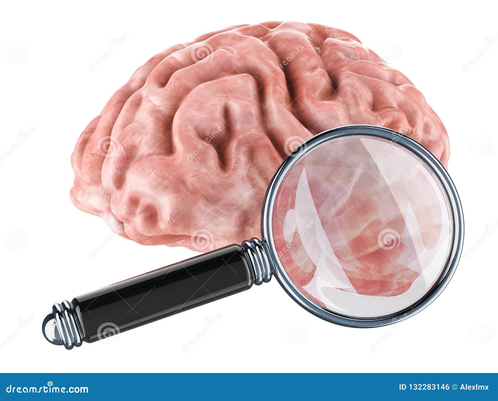 Human Brain with Magnifying Glass, 3D Rendering Stock Illustration ...
