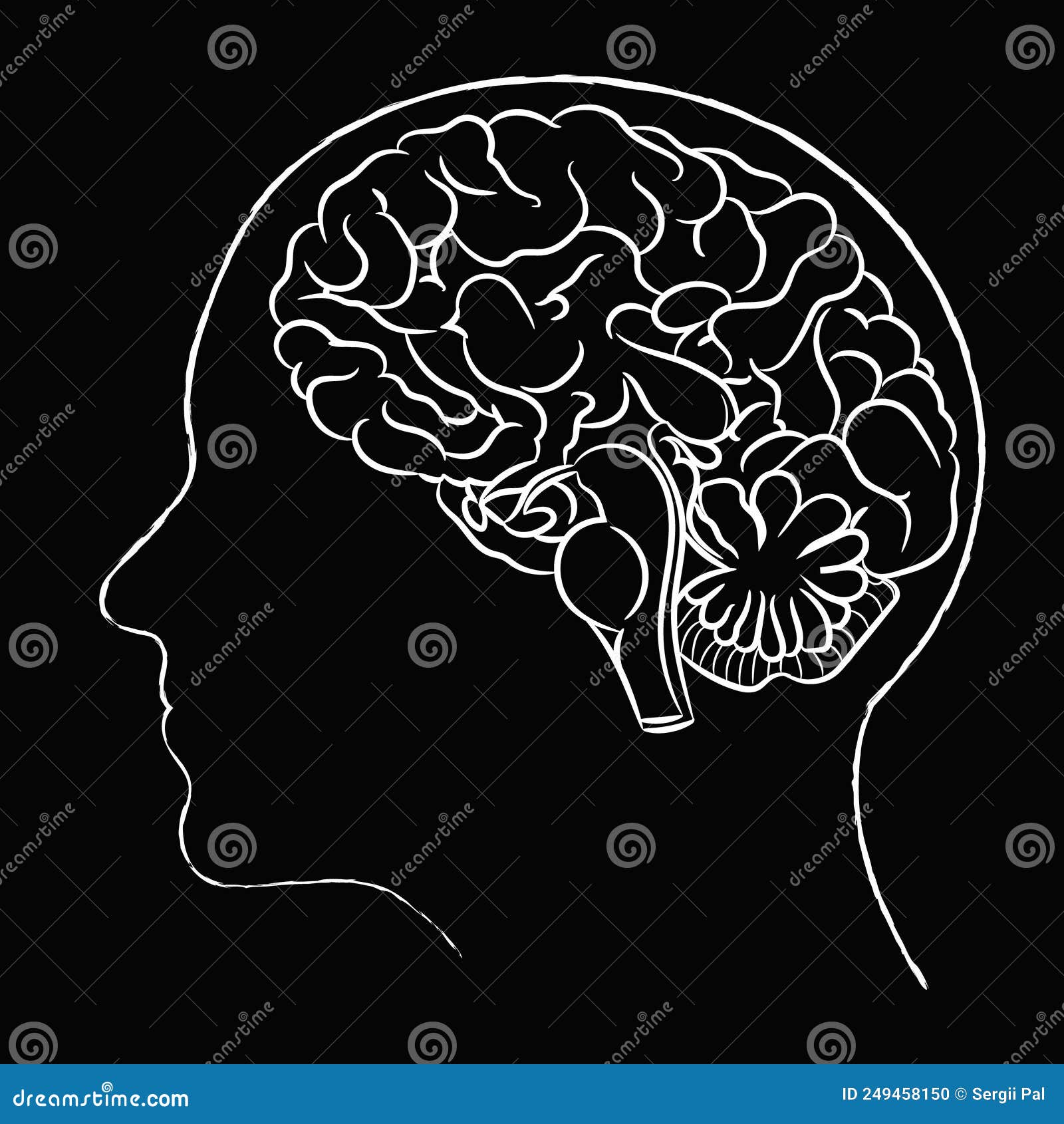 Human Brain Medical Vector Illustration Isolated on Black Background ...