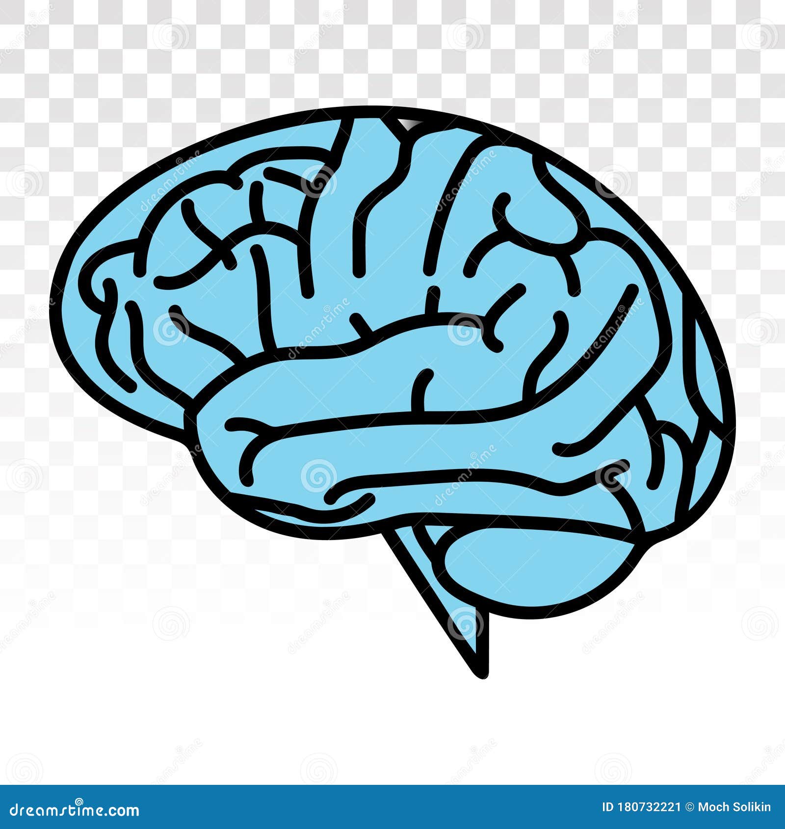 Human Brain or Mind Side View Line Art Vector Icon on a Transparent ...