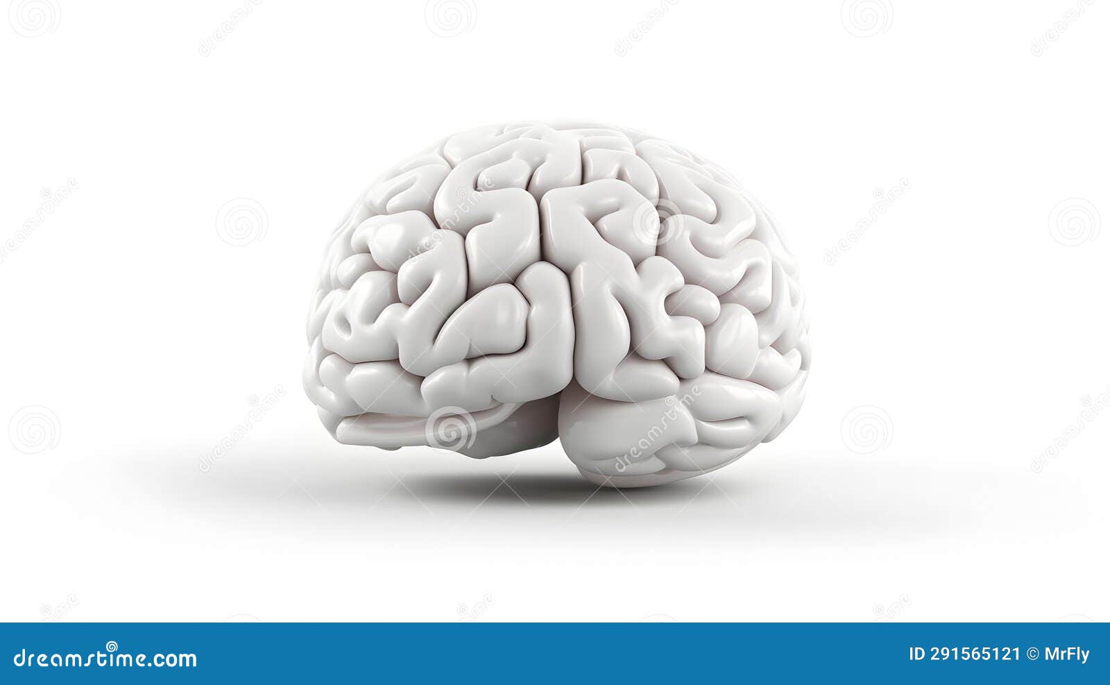 Human Brain Model, 3d Model Stock Illustration - Illustration of ...
