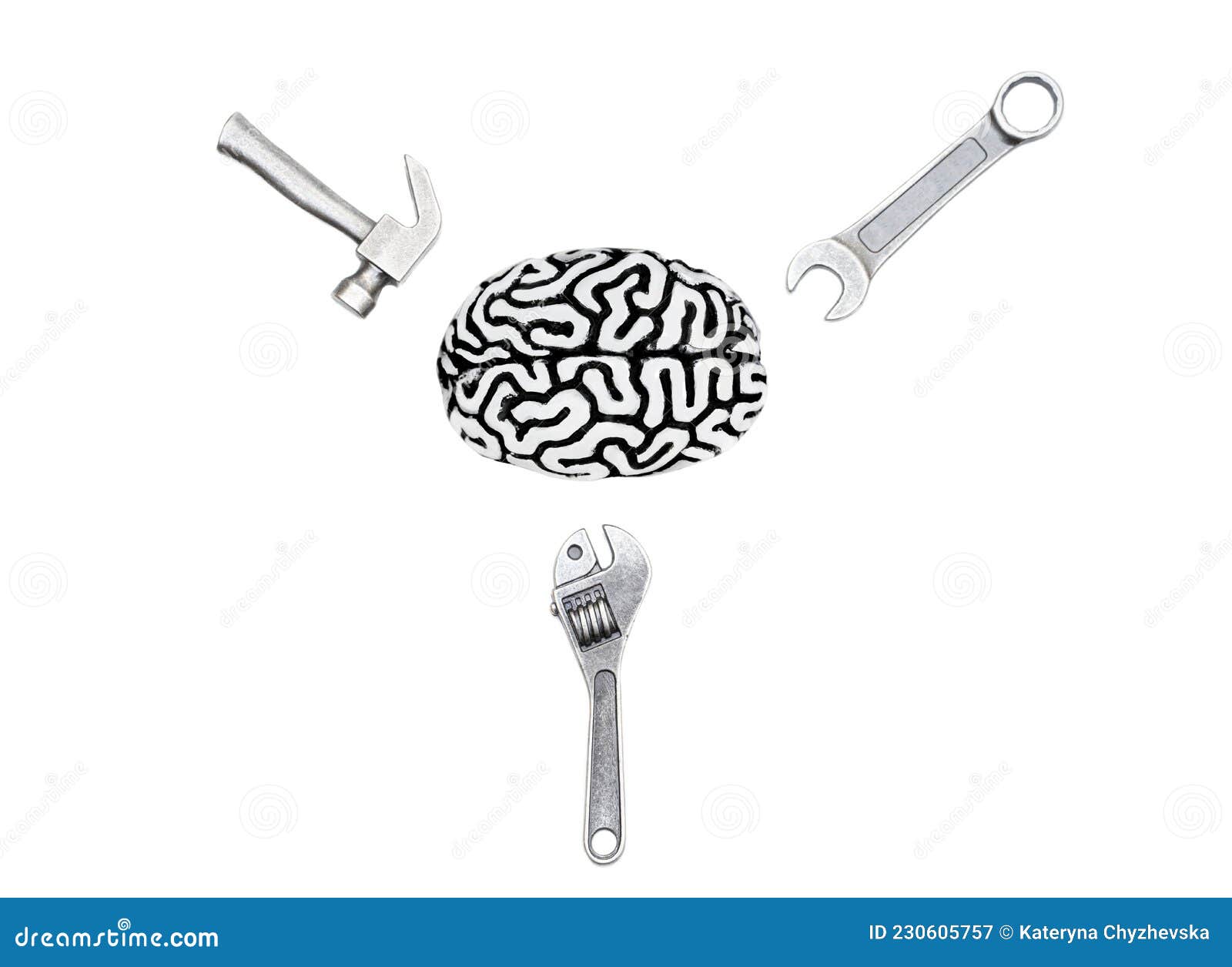 Human Brain Model with Hand Tools Isolated on White Stock Image - Image ...