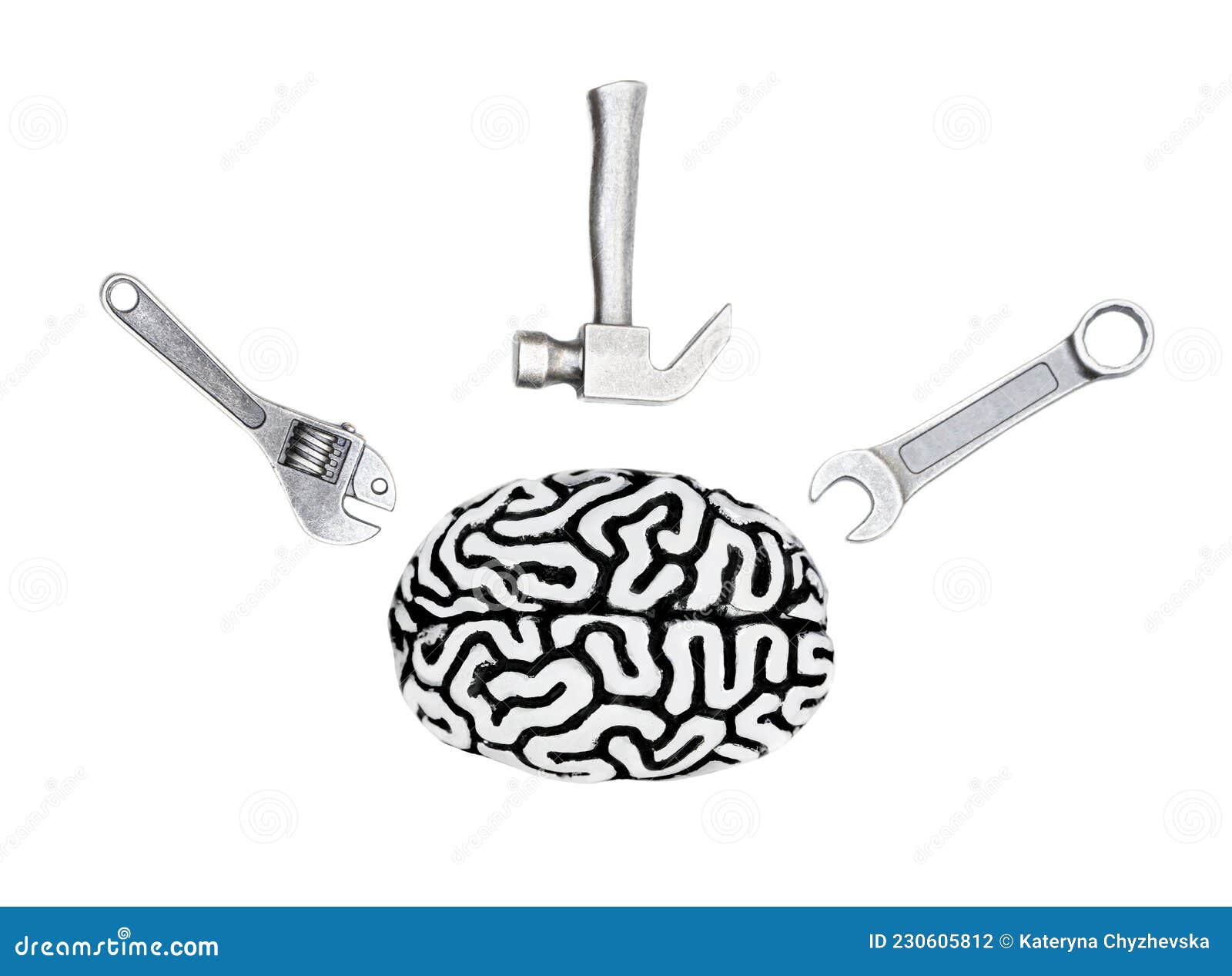 Human Brain Model with Hand Tools Isolated on White Stock Photo - Image ...