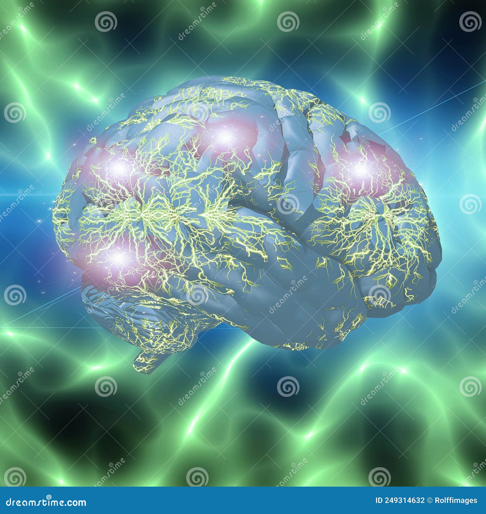 Human brain model stock illustration. Illustration of human - 249314632