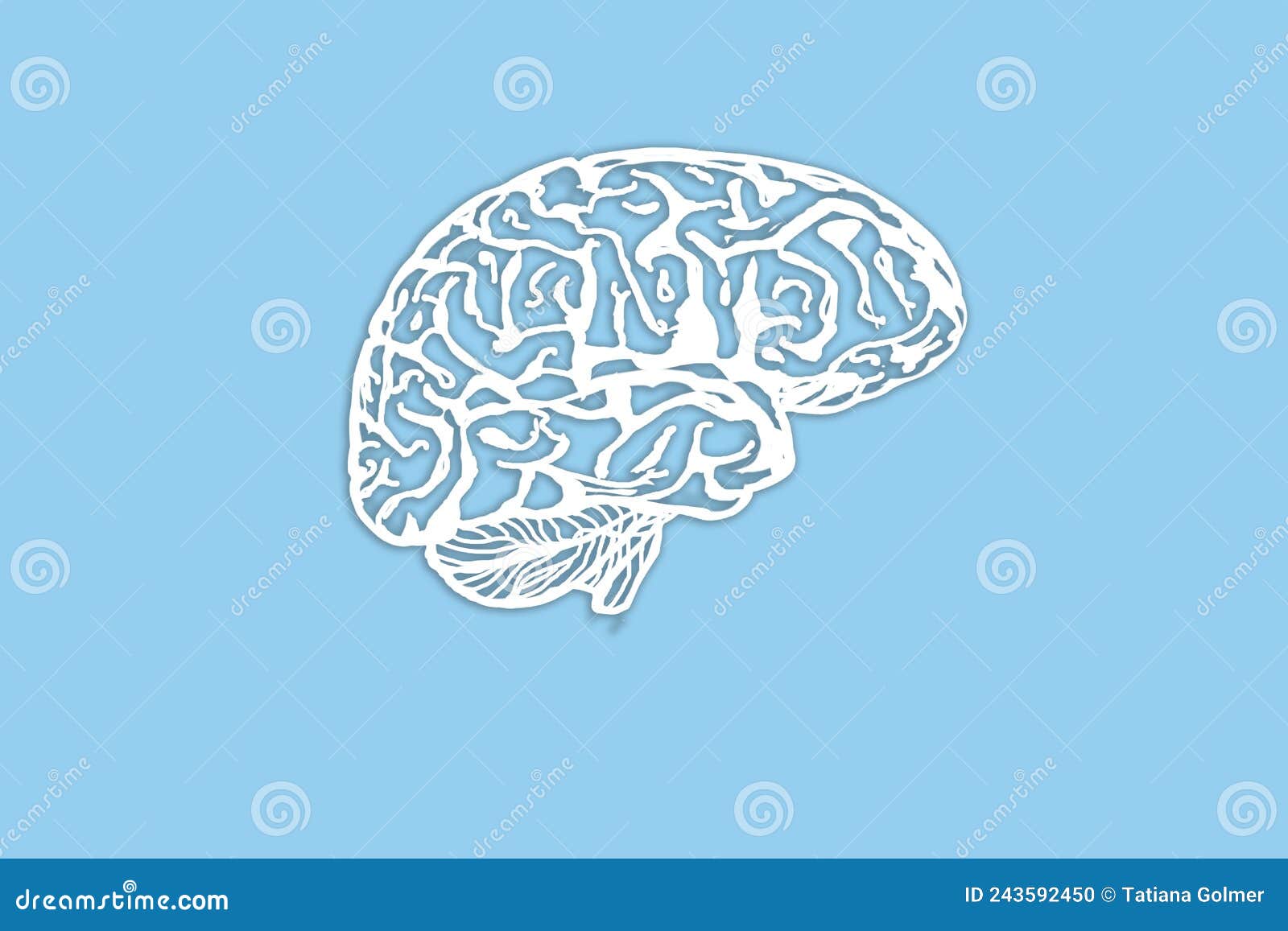 Human Brain Model on Light Blue Background, Concept of Level of Mind ...