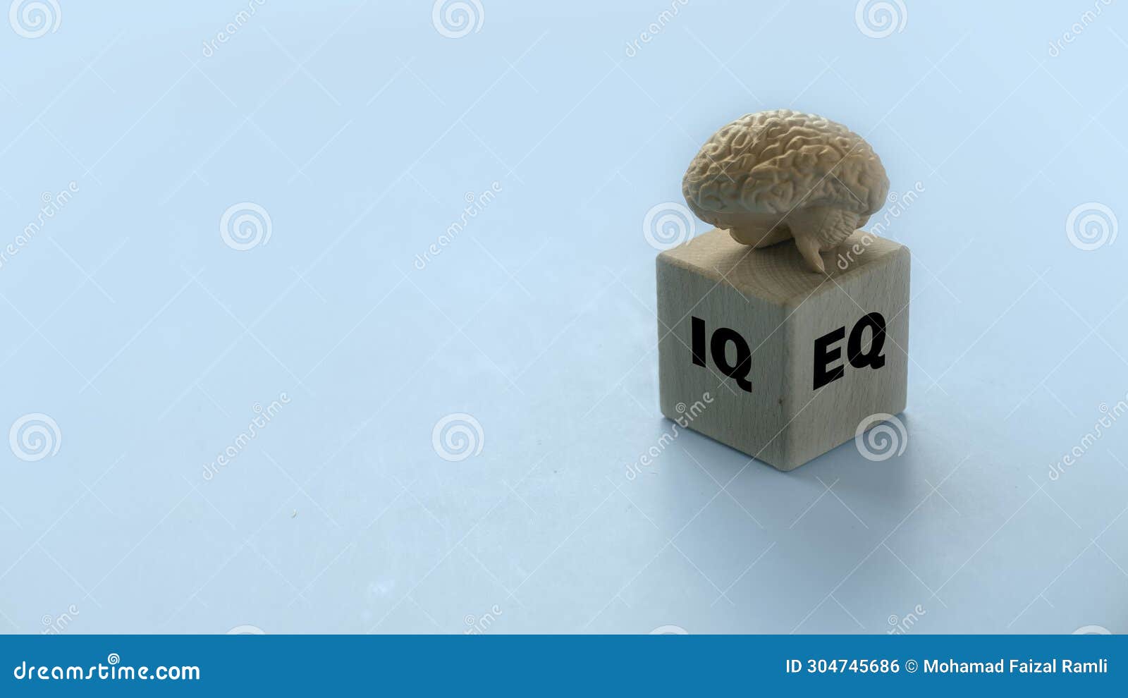 Human Brain Model Over a Wooden Cube Written with EQ and IQ Stock Photo ...