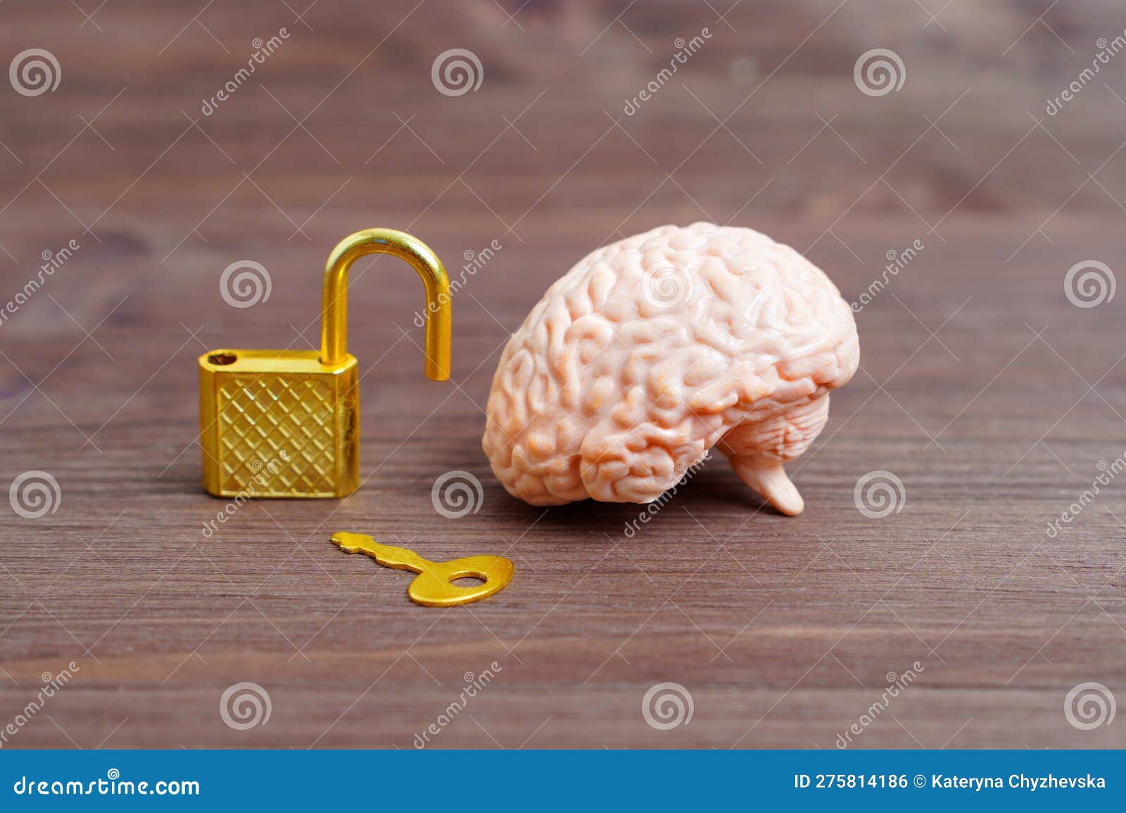 Human Brain Model with Padlock and Key Stock Photo - Image of ...