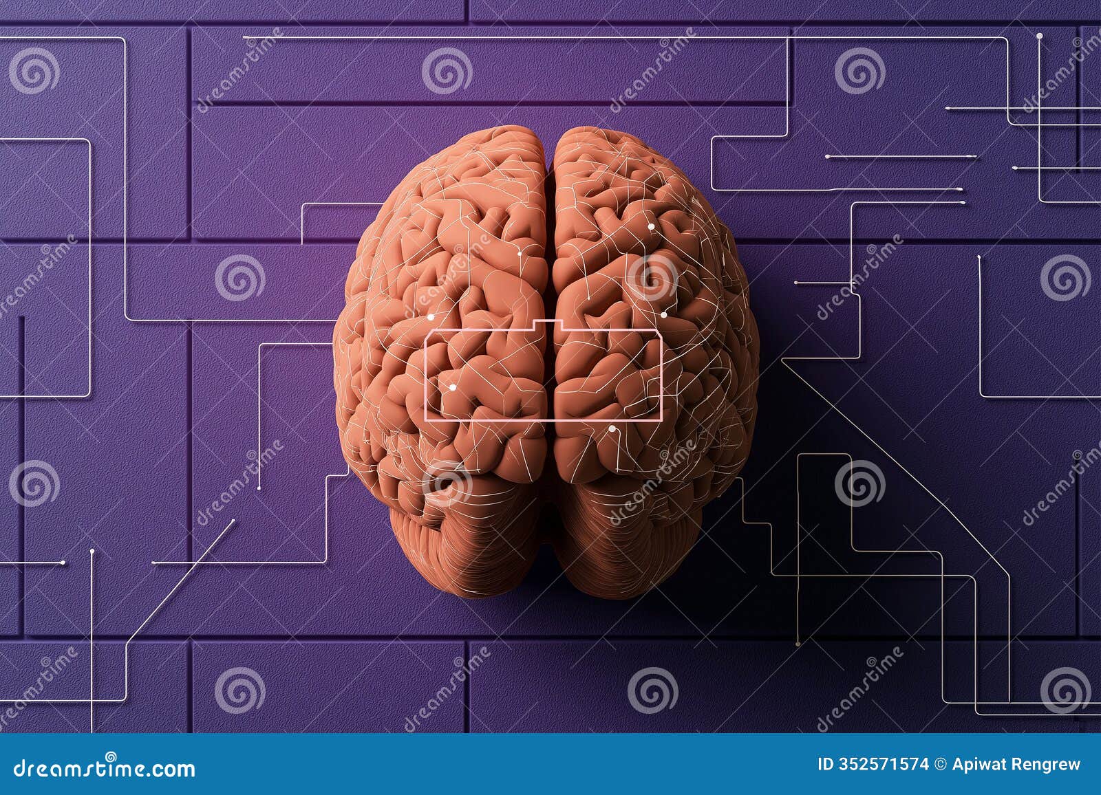 Human Brain Model on Purple Background Showcasing Intricate Neural ...