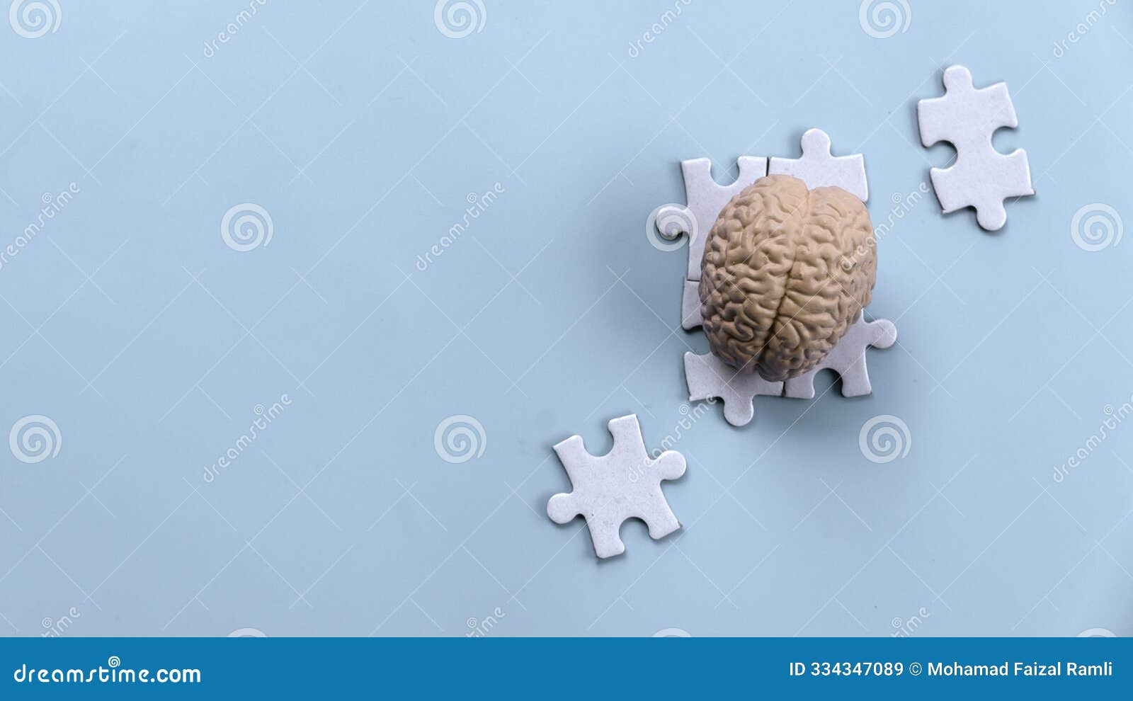 Human Brain Model on Scattered Jigsaw Puzzle Pieces Stock Image - Image ...