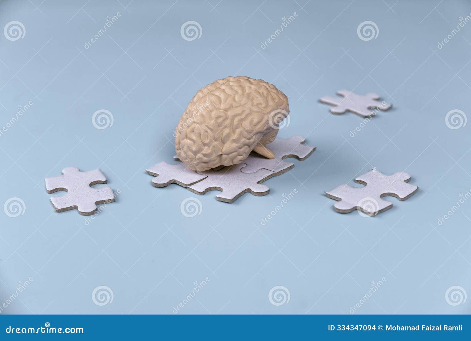 Human Brain Model on Scattered Jigsaw Puzzle Pieces Stock Photo - Image ...