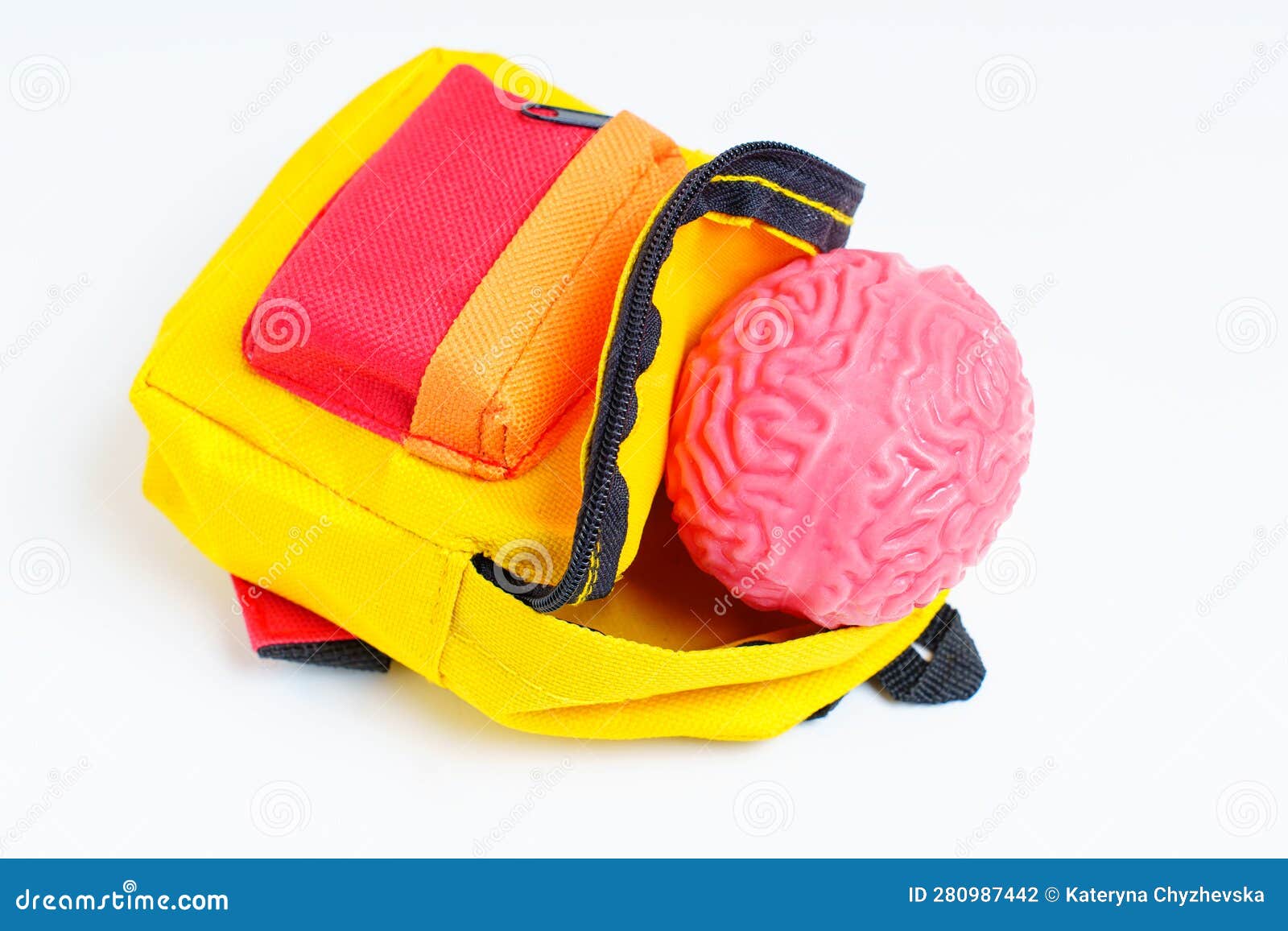 Human Brain Model in a Small Backpack Stock Photo - Image of pink ...