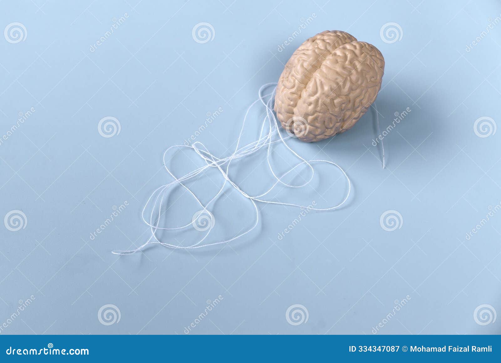 Human Brain Model on Tangled White Thread for Complex Thought ...