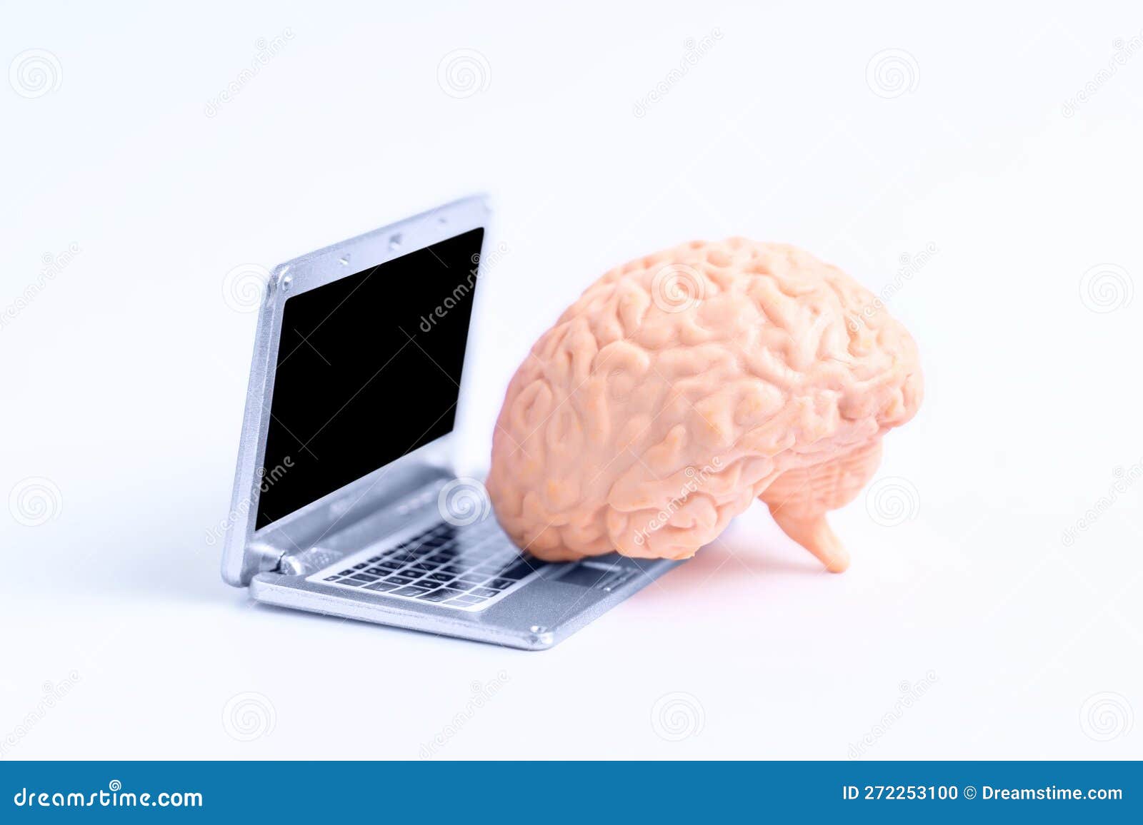 Human Brain Model Using a Miniature Laptop Replica Stock Photo - Image ...