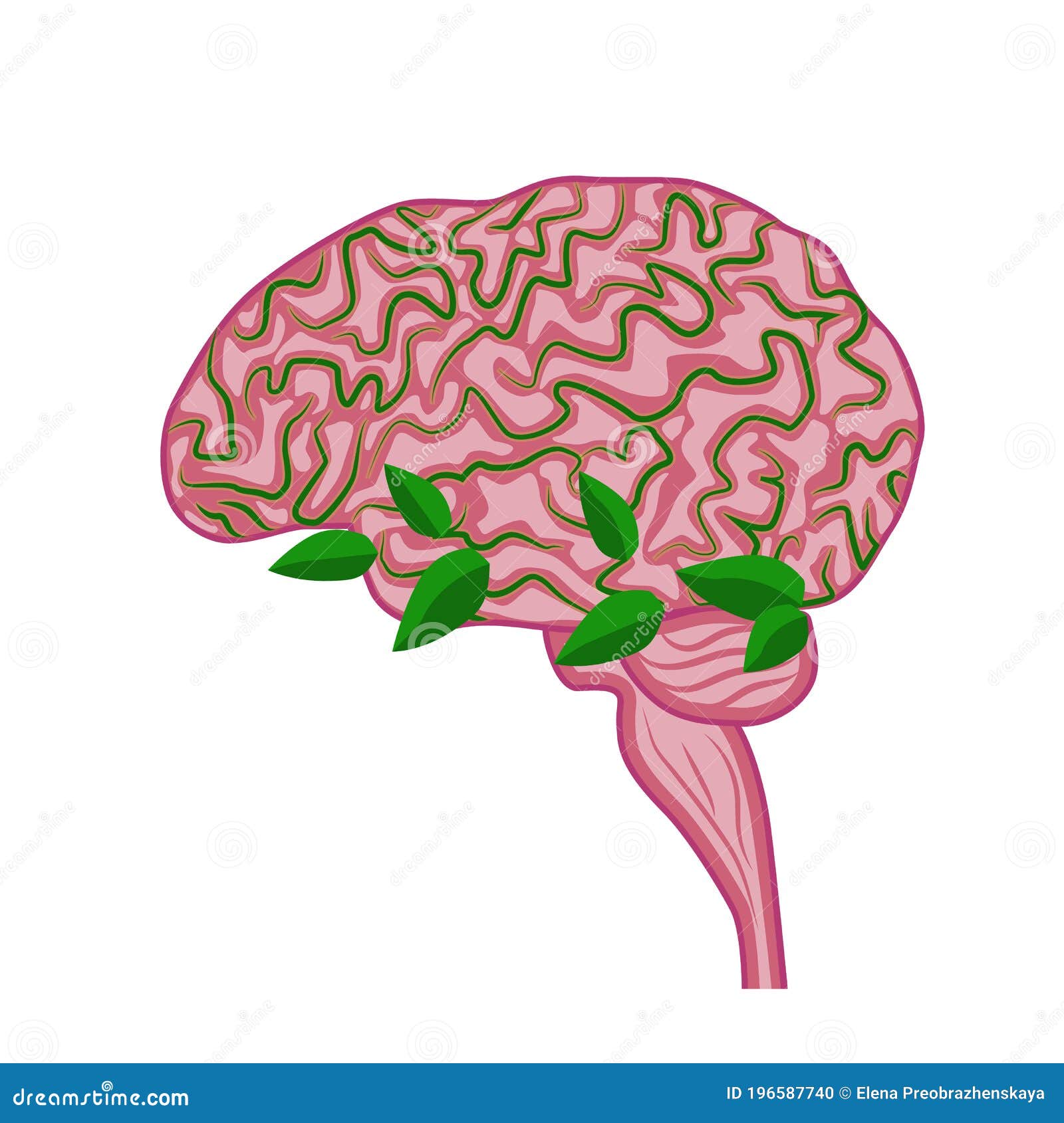 The Brain And Nervous System Stock Illustration | CartoonDealer.com ...