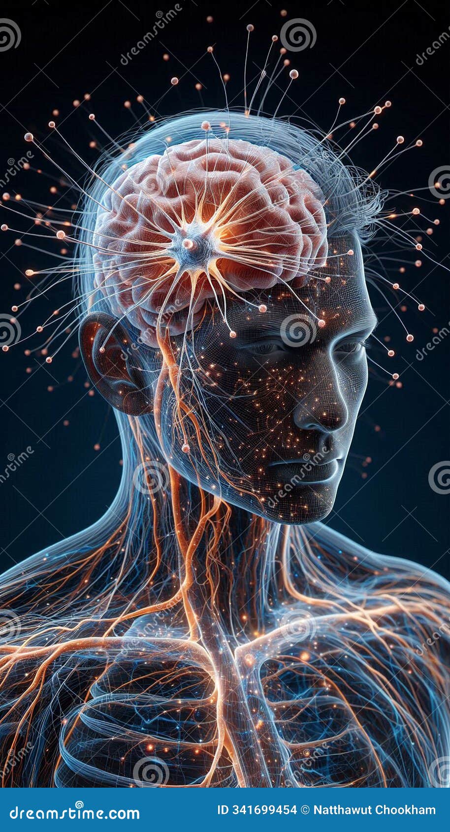 Human Brain and Nervous System Visualization Stock Illustration ...