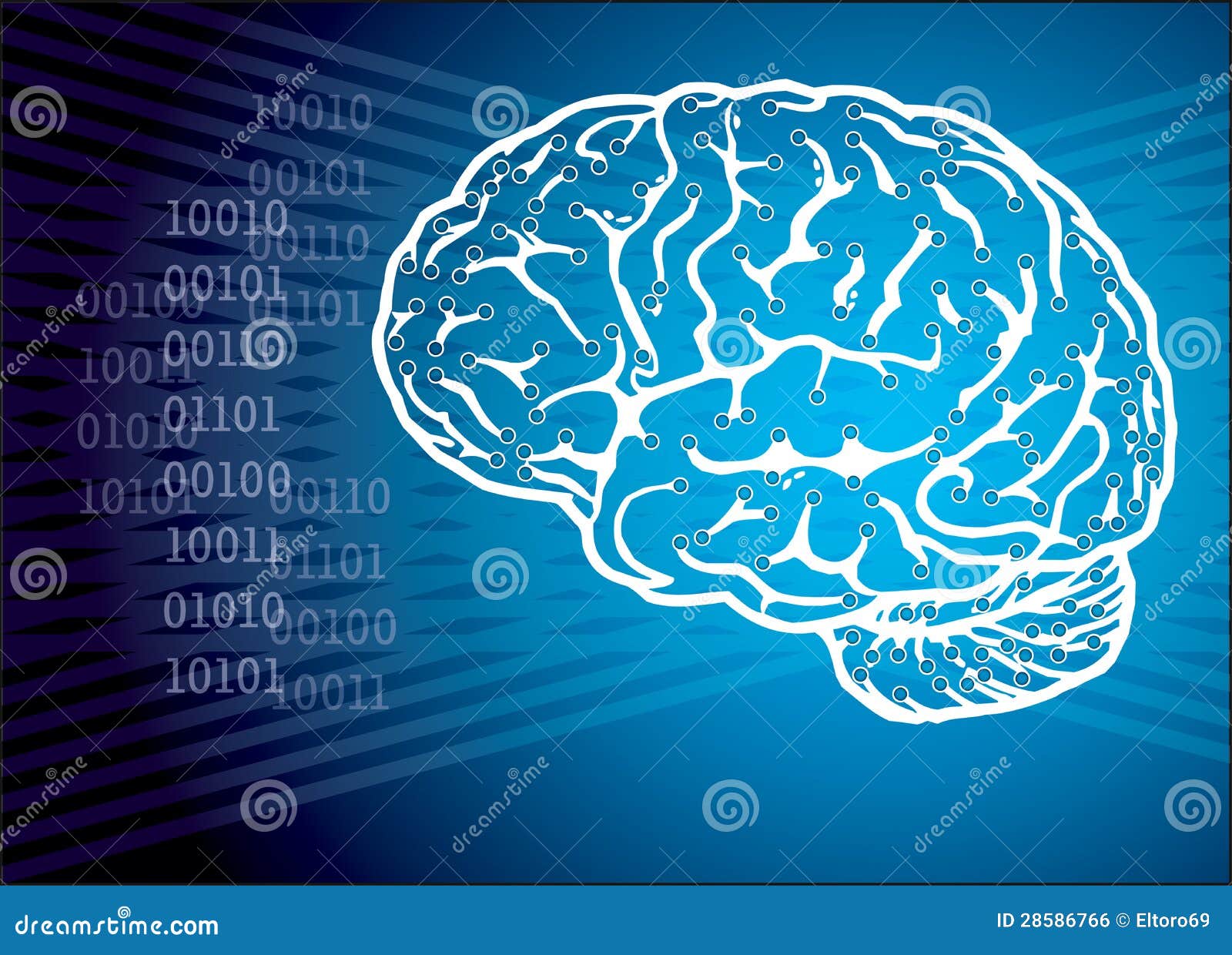 Human brain network stock vector. Illustration of connectivity - 28586766