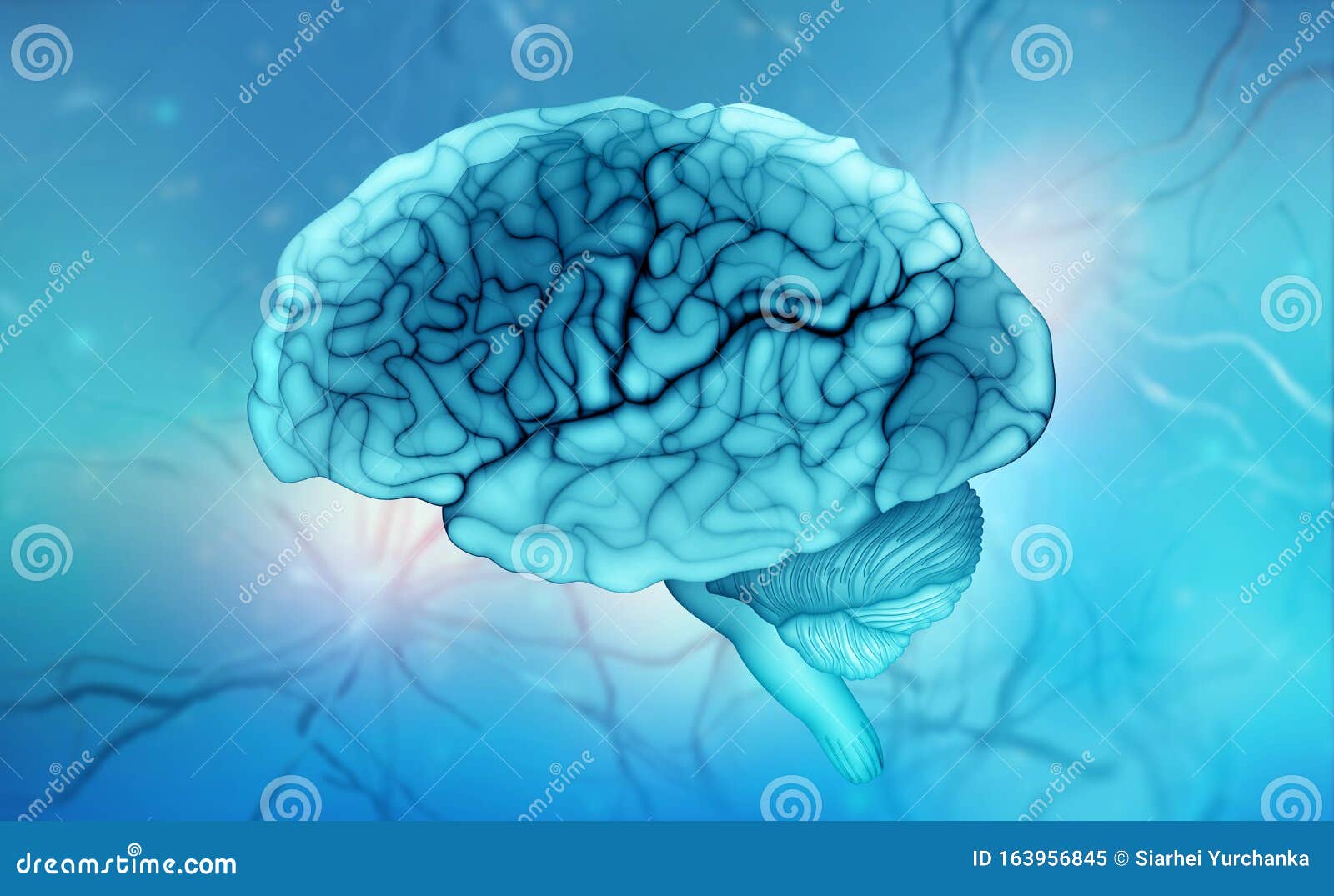 Human Brain. Neural Communications Stock Illustration - Illustration of ...