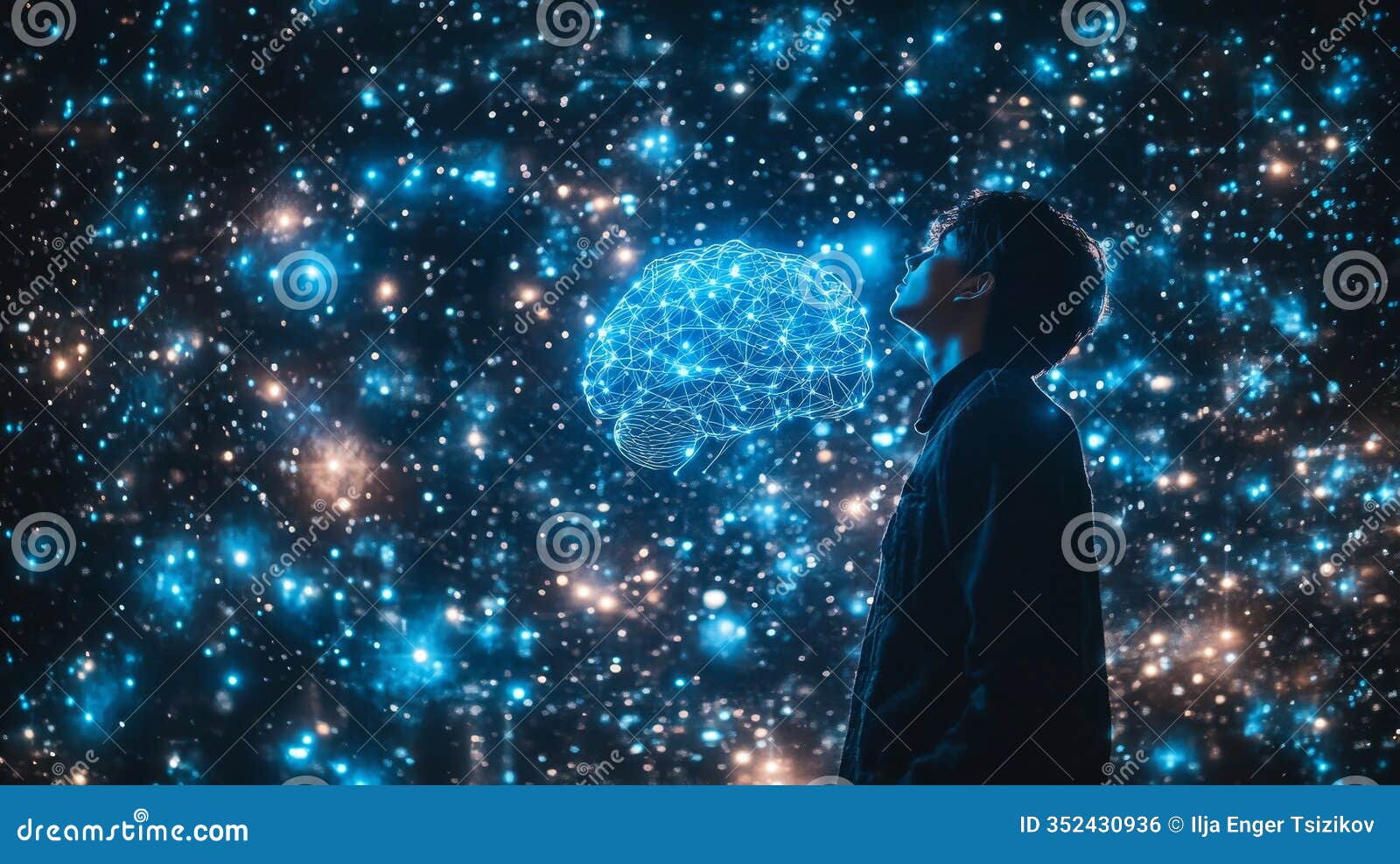 The Human Brain, Neural Network, and Cognitive Processes a Visual ...