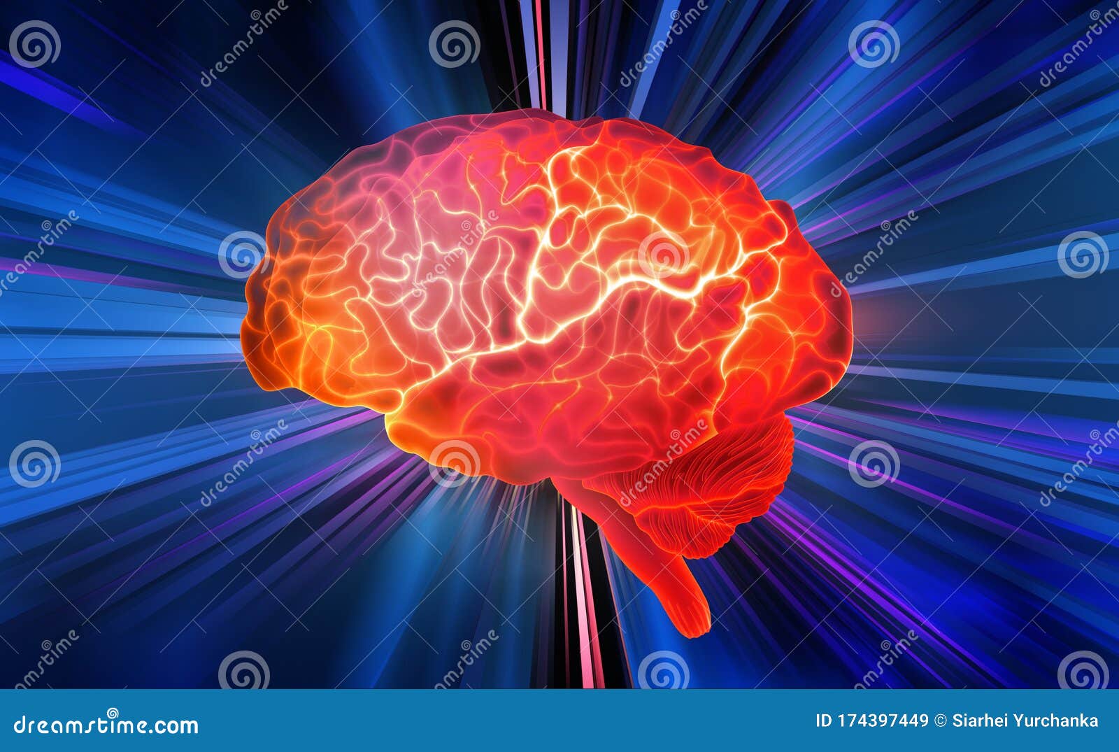 Human Brain. Neural Network. Computer Mind Stock Illustration ...