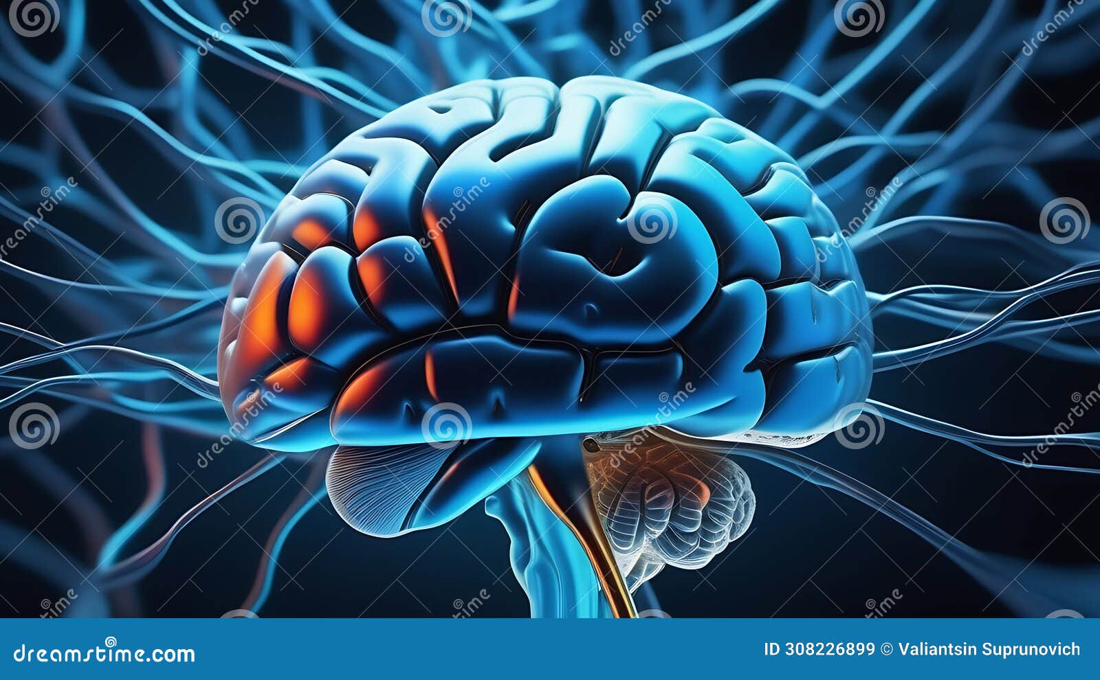 Human Brain and Neural Networks Structure. Artificial Intelligence ... Human Brain and Neural Networks Structure. Artificial Intelligence ...