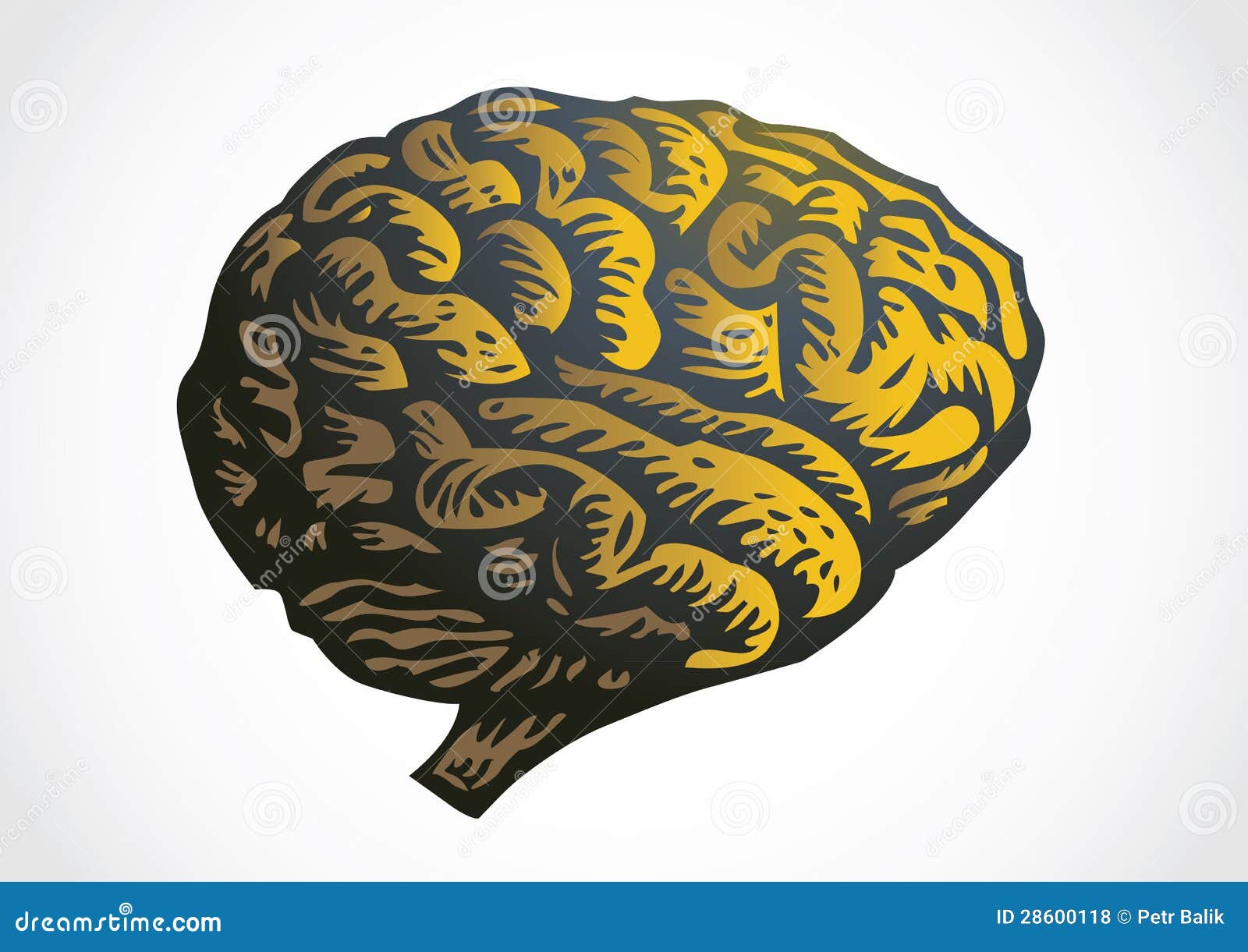 Human brain object stock illustration. Illustration of cerebral - 28600118