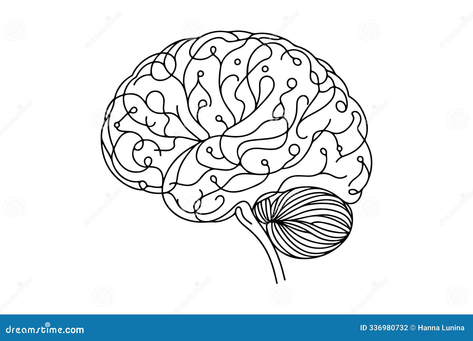 Human Brain One Continuous Line. Vector Graphics. Stock Illustration ...