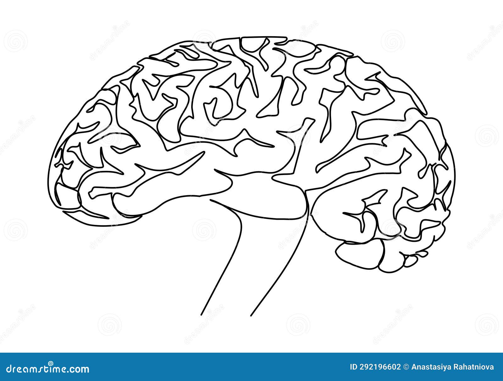 The Human Brain. One Line Drawing Vector Illustration. Stock ...