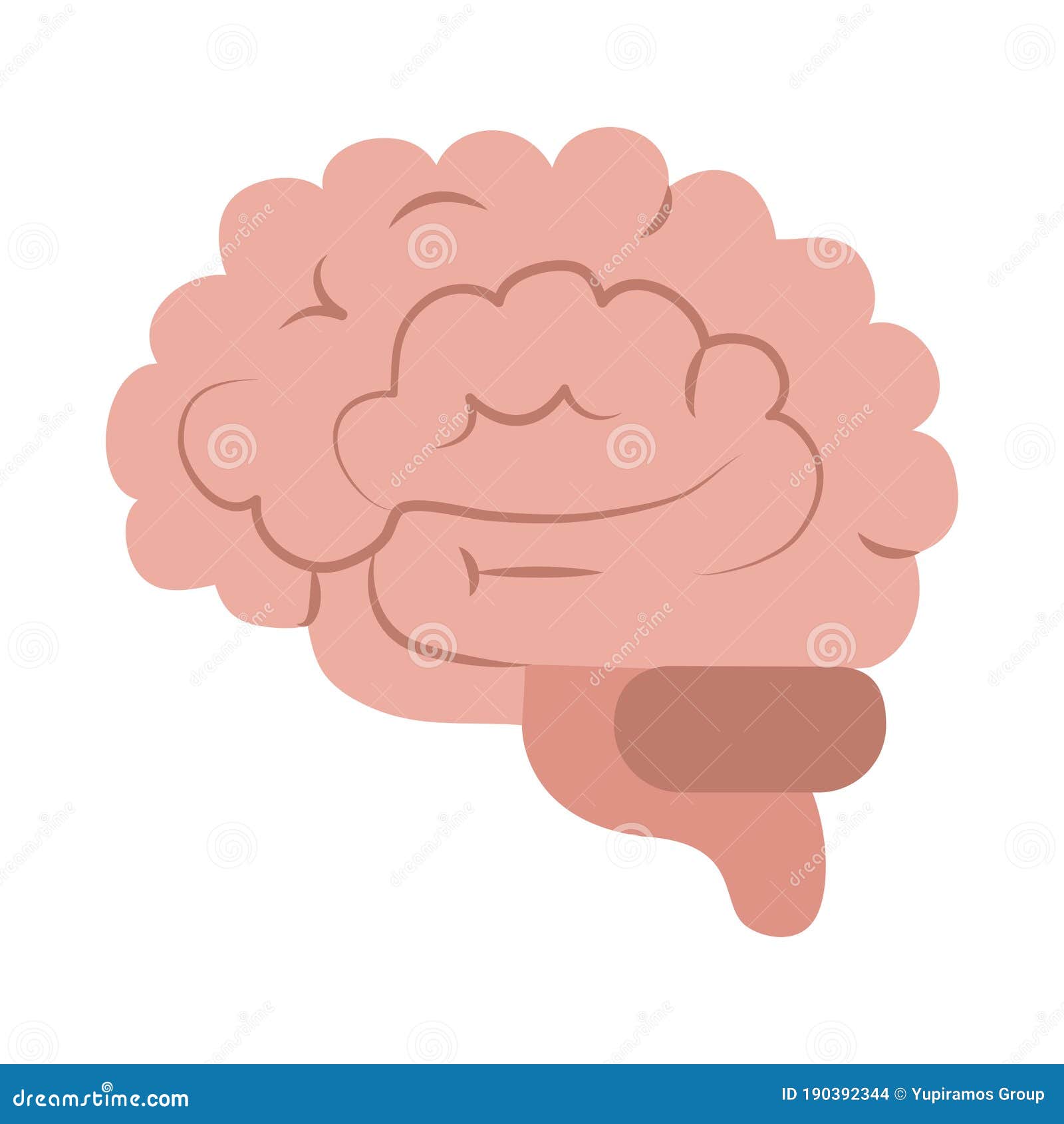 Human Brain Organ Think Idea Isolated Flat Style Icon Stock Vector ...