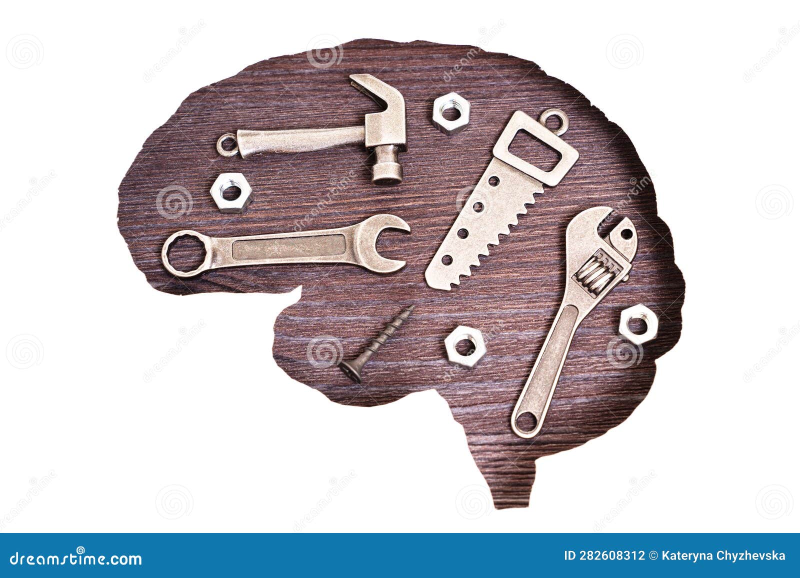 Human Brain Outline and Essential Hand Tools Stock Photo - Image of ...