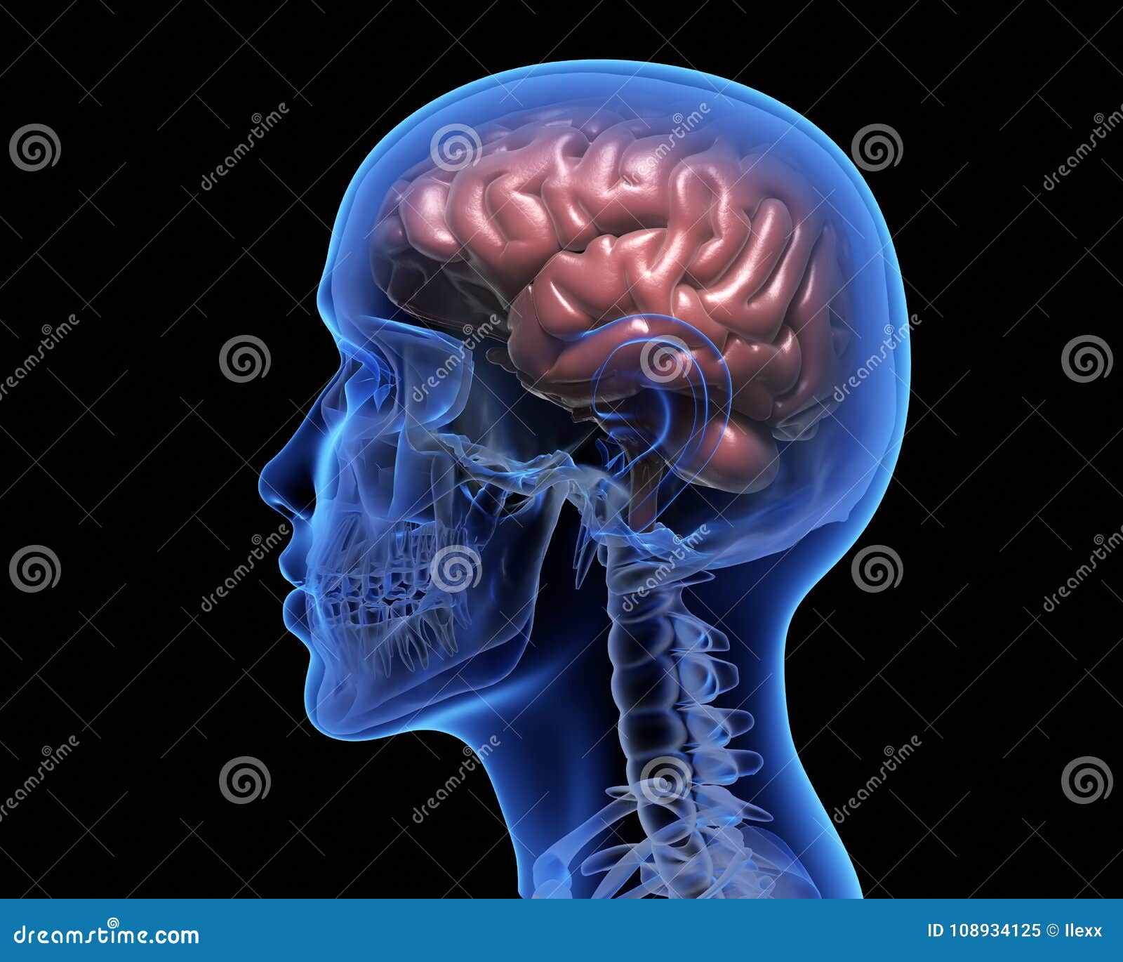 Encephalon Cartoons, Illustrations & Vector Stock Images - 1180 ...