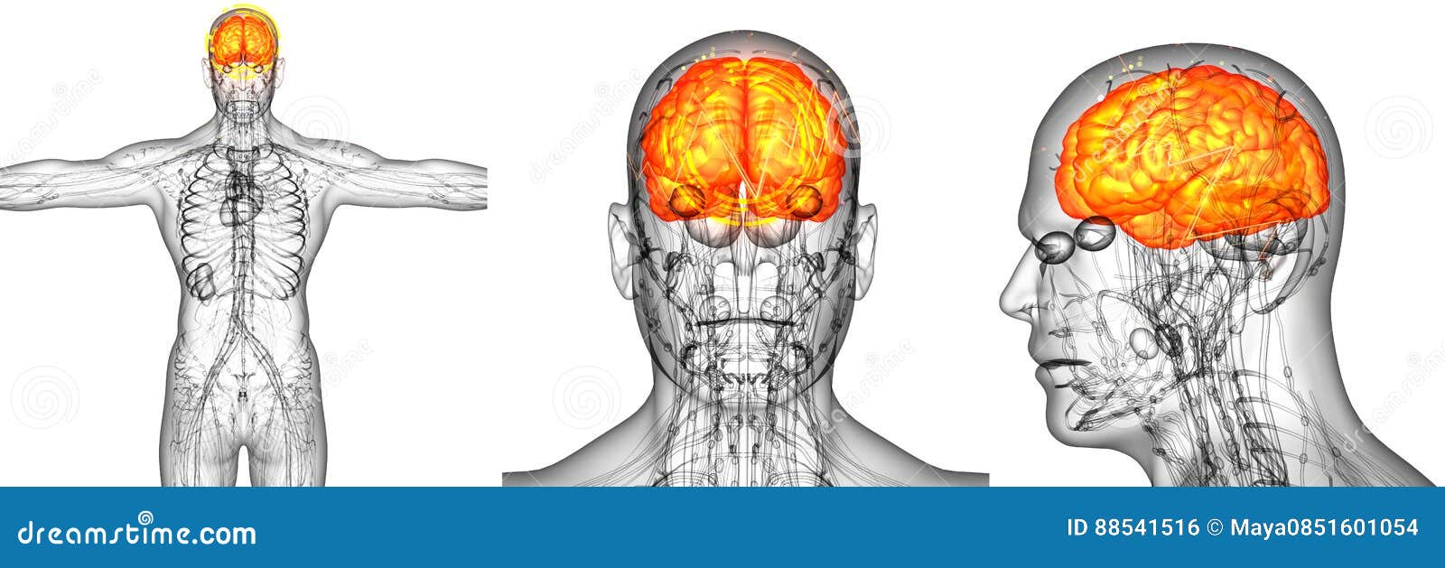 Human brain pain stock illustration. Illustration of intelligence ...