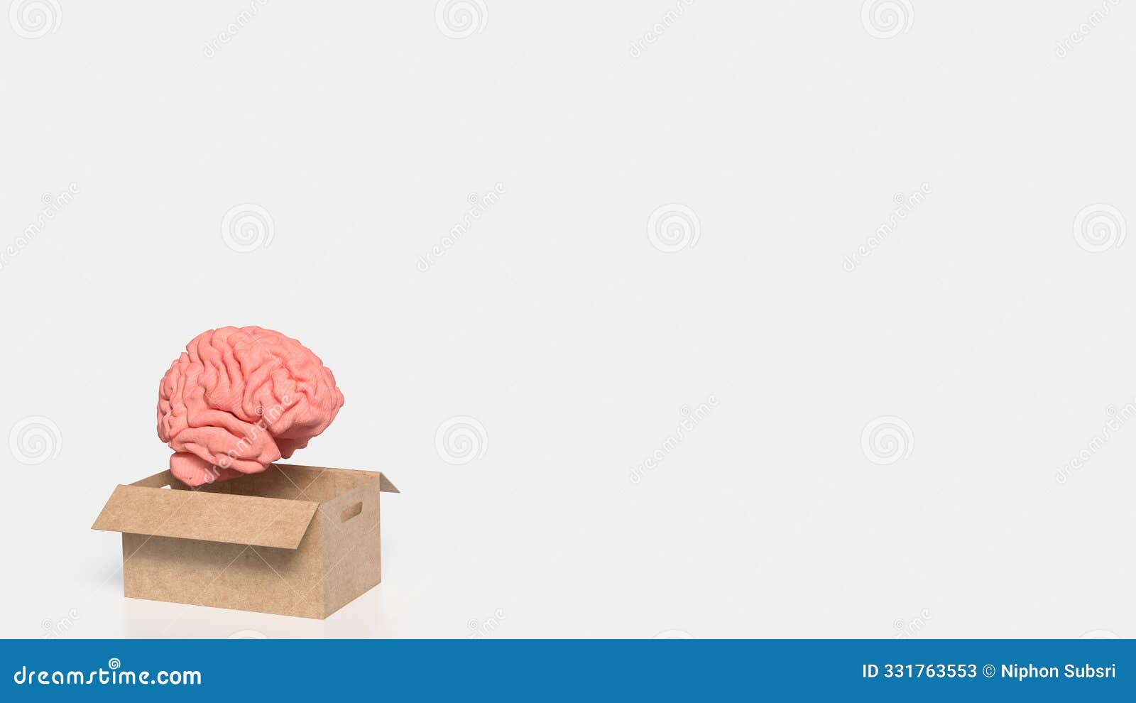 The Human Brain in Paper Box for Creative or Sci Concept 3d Rendering ...