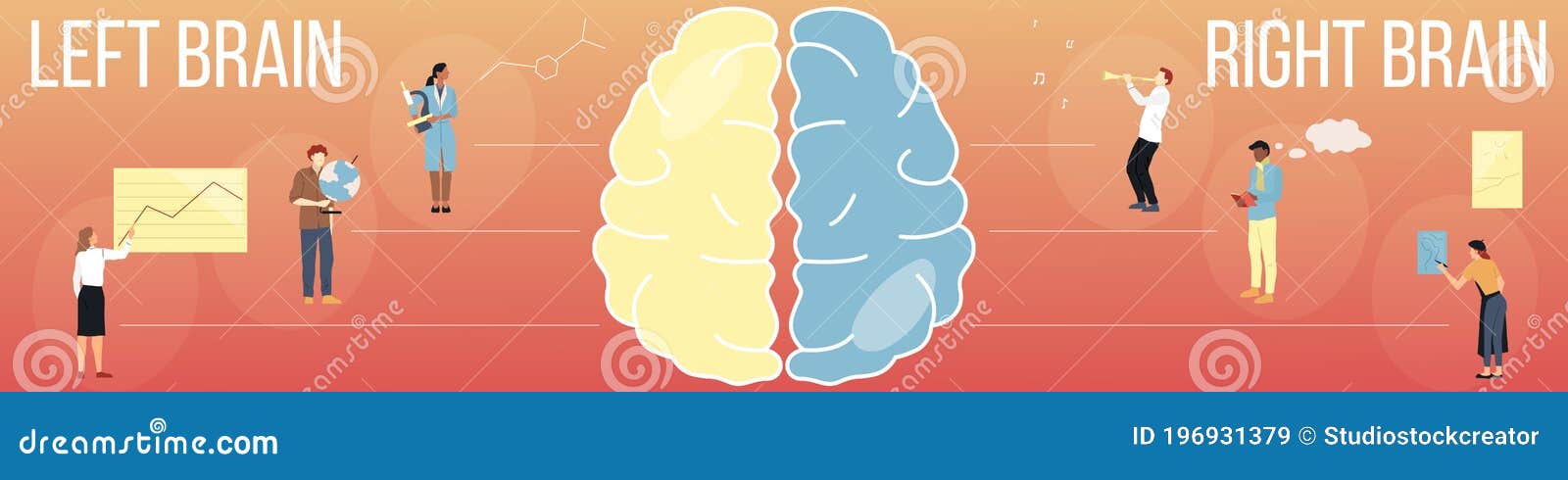 Human Brain Parts Difference Concept. Find Your Dominant Hemisphere ...