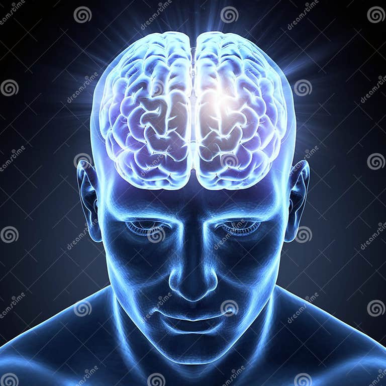 Human brain picture stock illustration. Illustration of design - 351174314