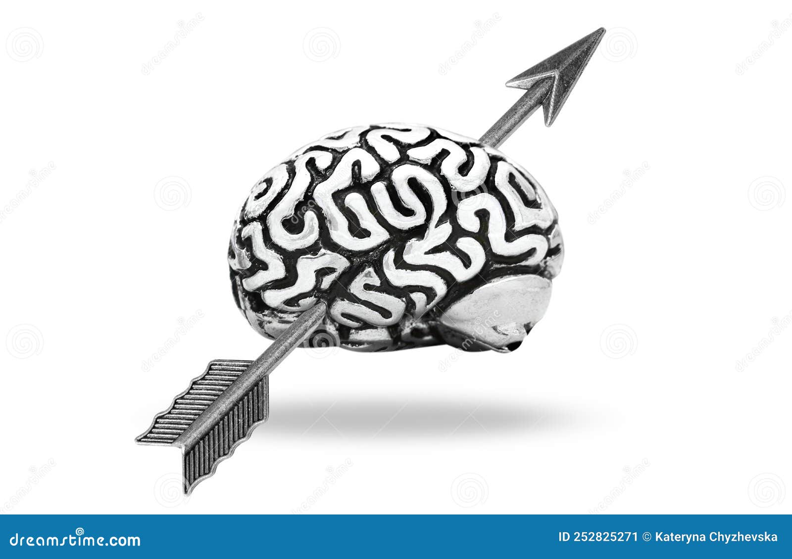 Human Brain Pierced with an Arrow Stock Illustration - Illustration of ...