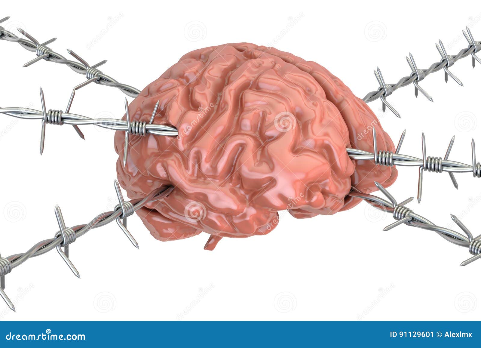 Brain And Barbed Wire. Sick Brains Internal Organs Human Anatomy Vector ...