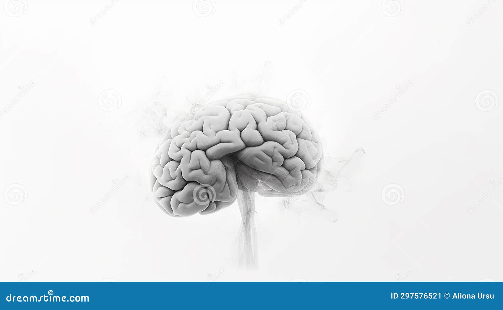 Human Brain on a Plain Background with Copy Space Stock Illustration ...