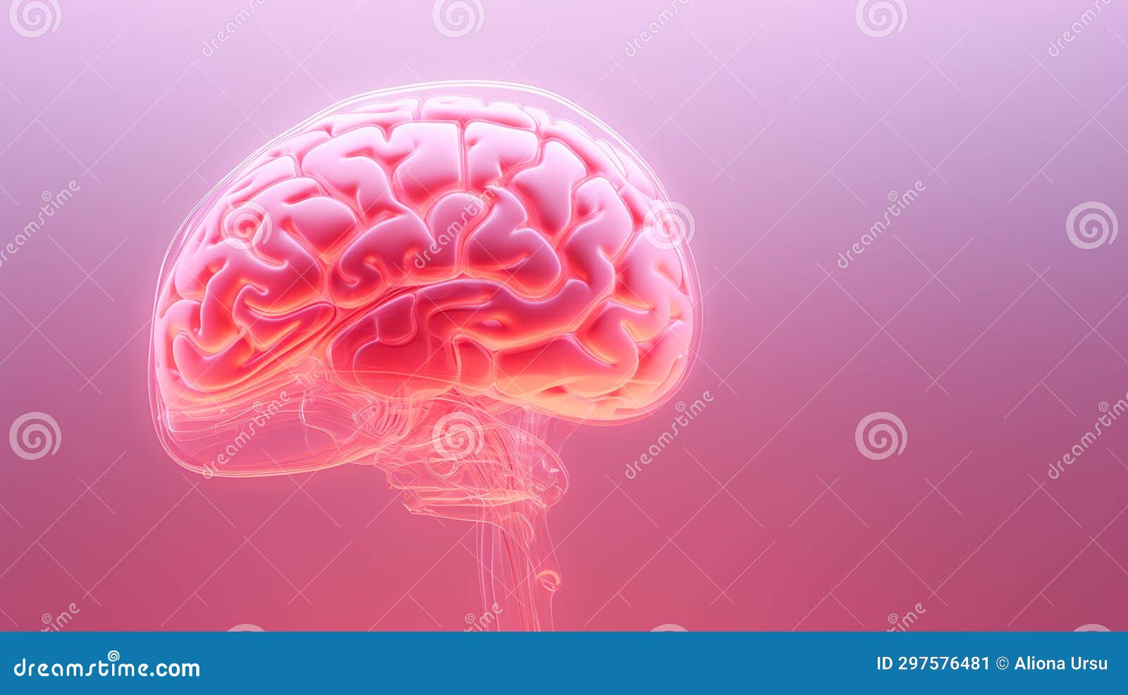 Human Brain on a Plain Background with Copy Space Stock Illustration ...