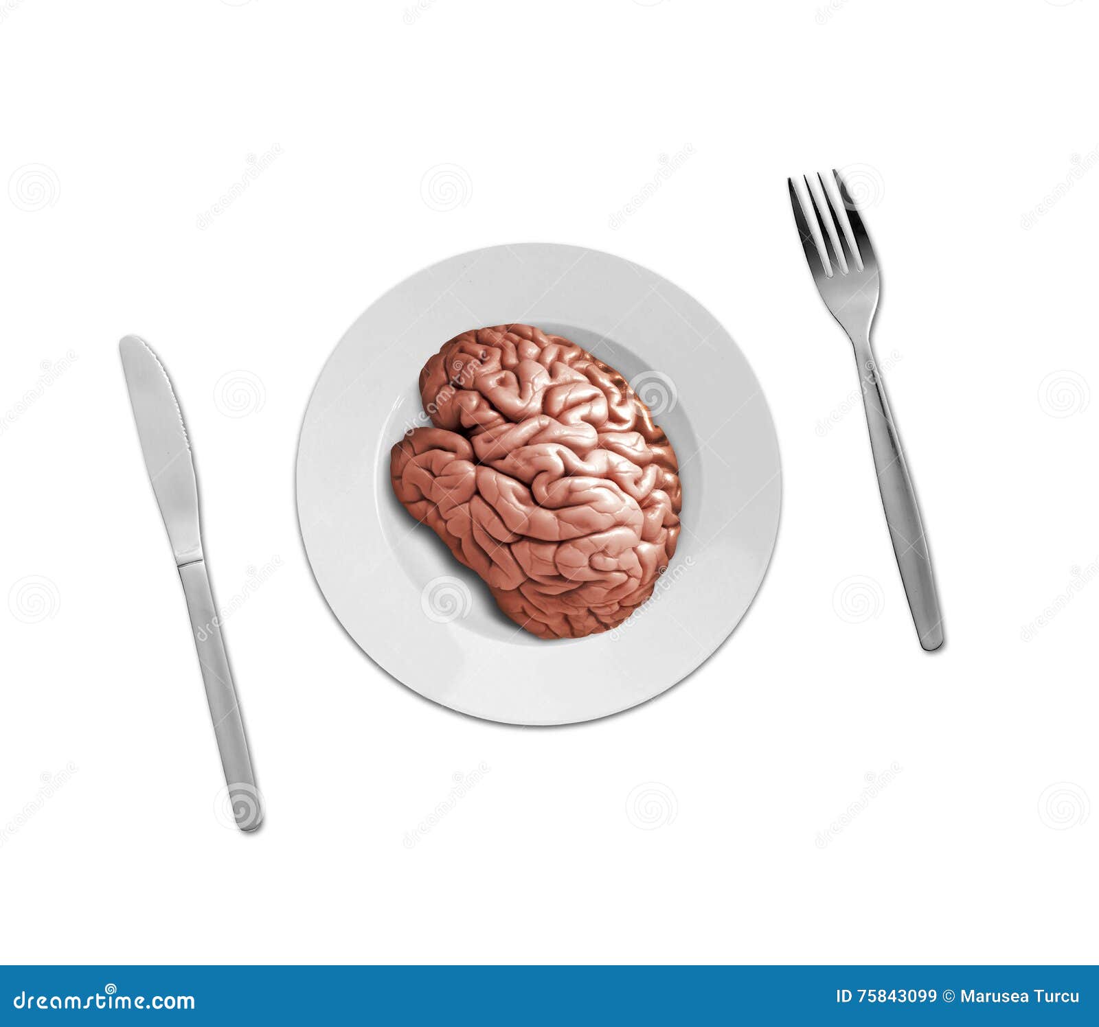 Human brain on plate stock image. Image of lobotomy, disease - 75843099