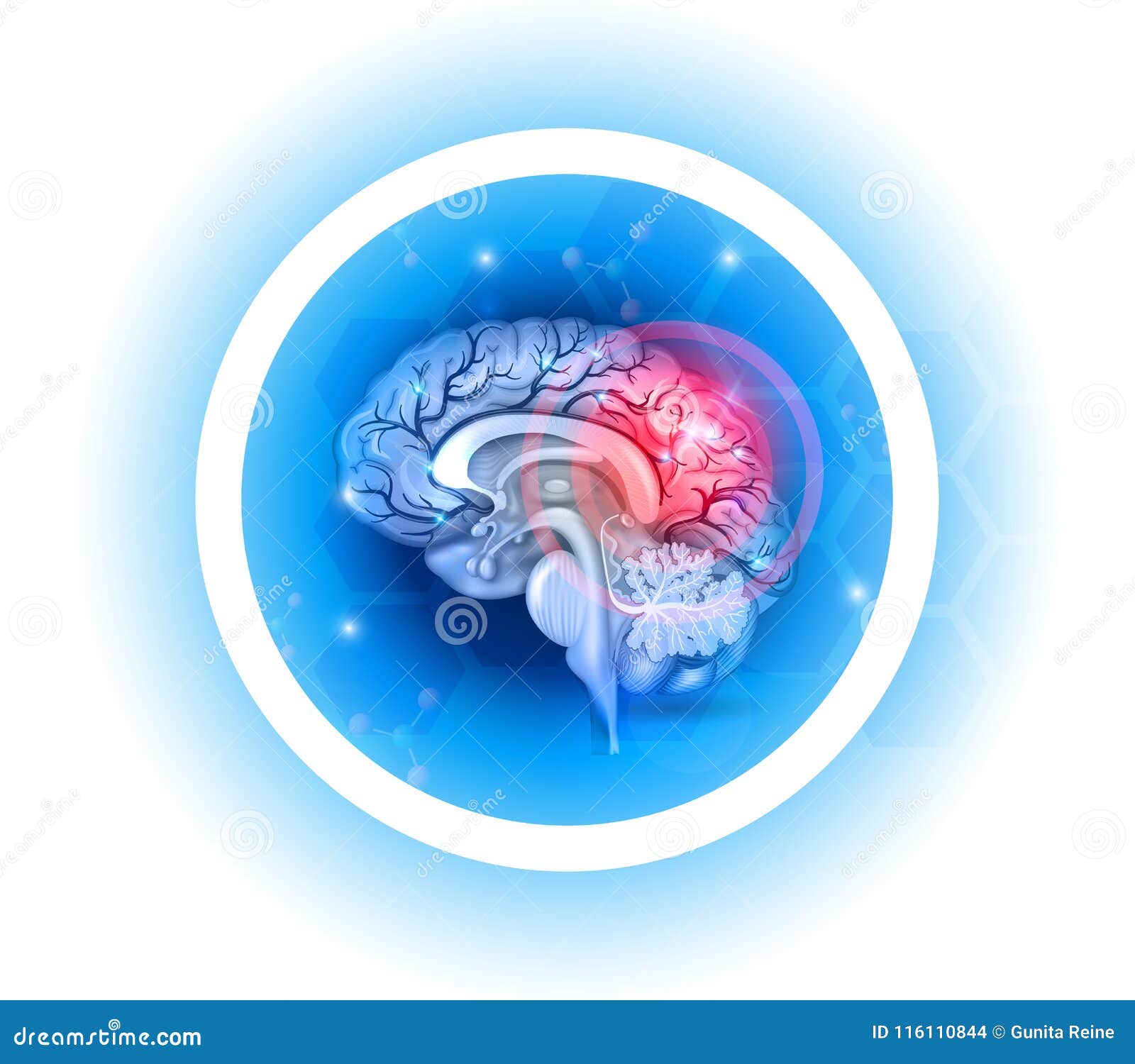 Human Brain Problems Symbol Stock Vector - Illustration of ache ...