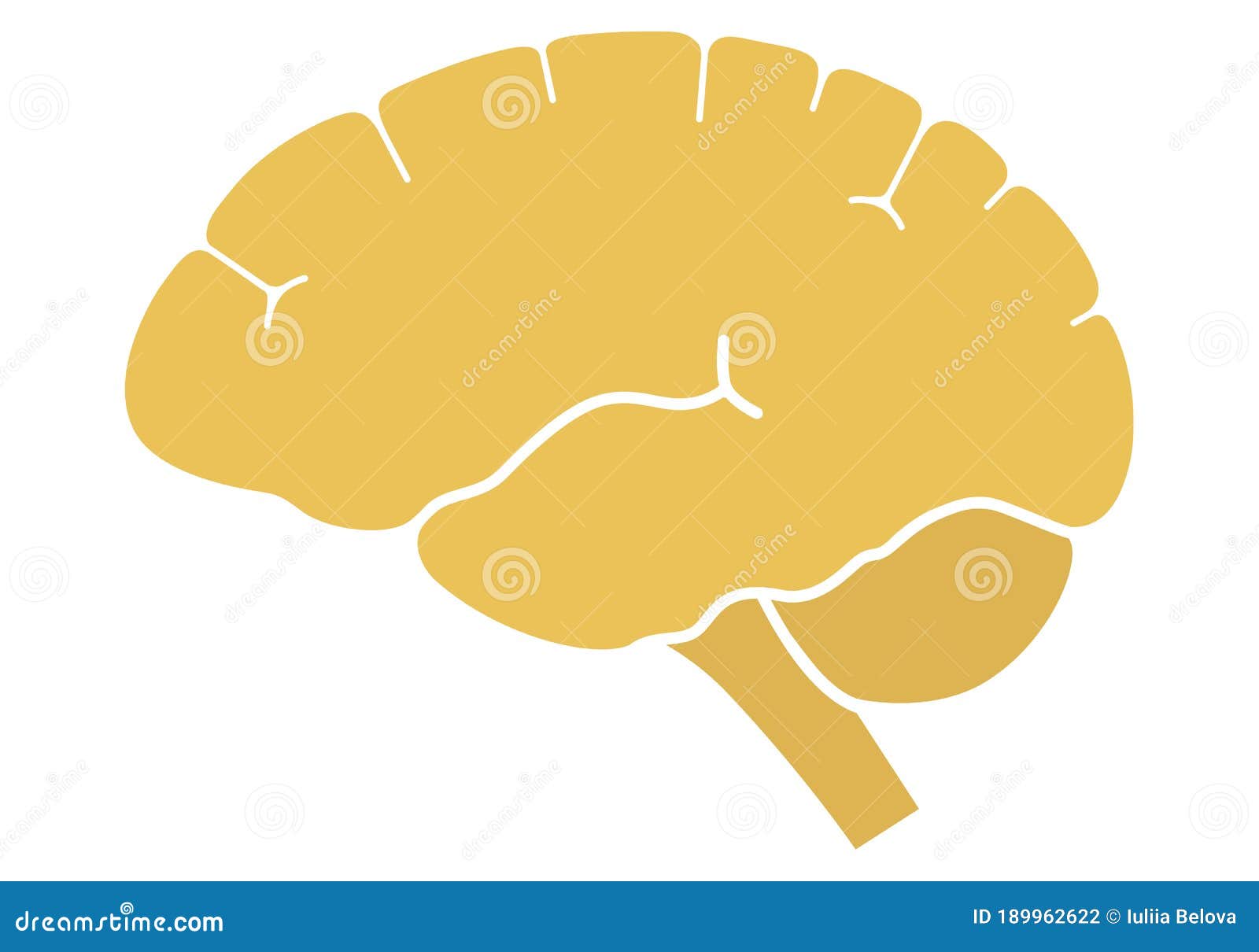 Human Brain in Profile View Left. Flat Design Stock Vector ...