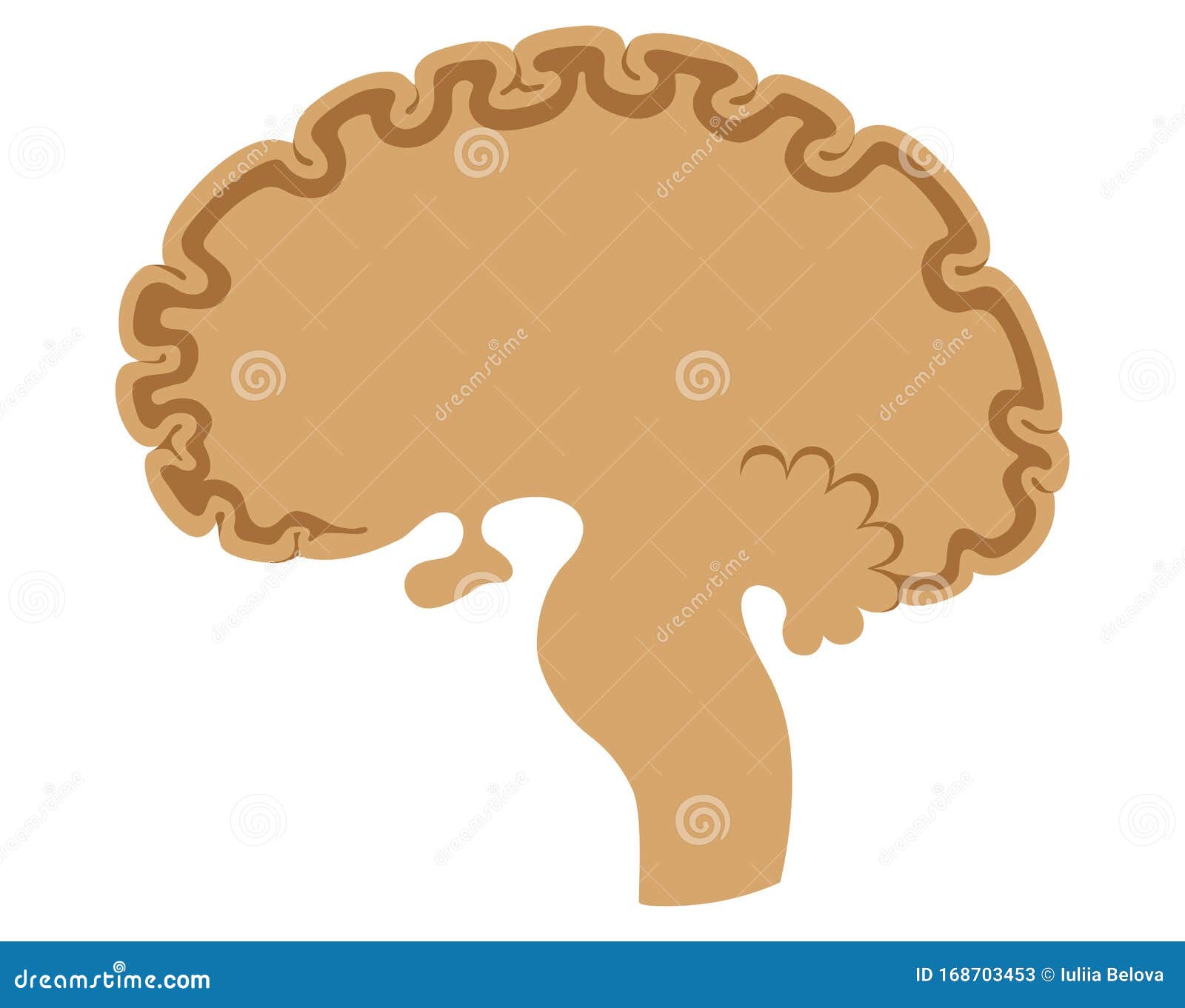 Human Brain in Profile View Left Illustration. Flat Design Stock ...