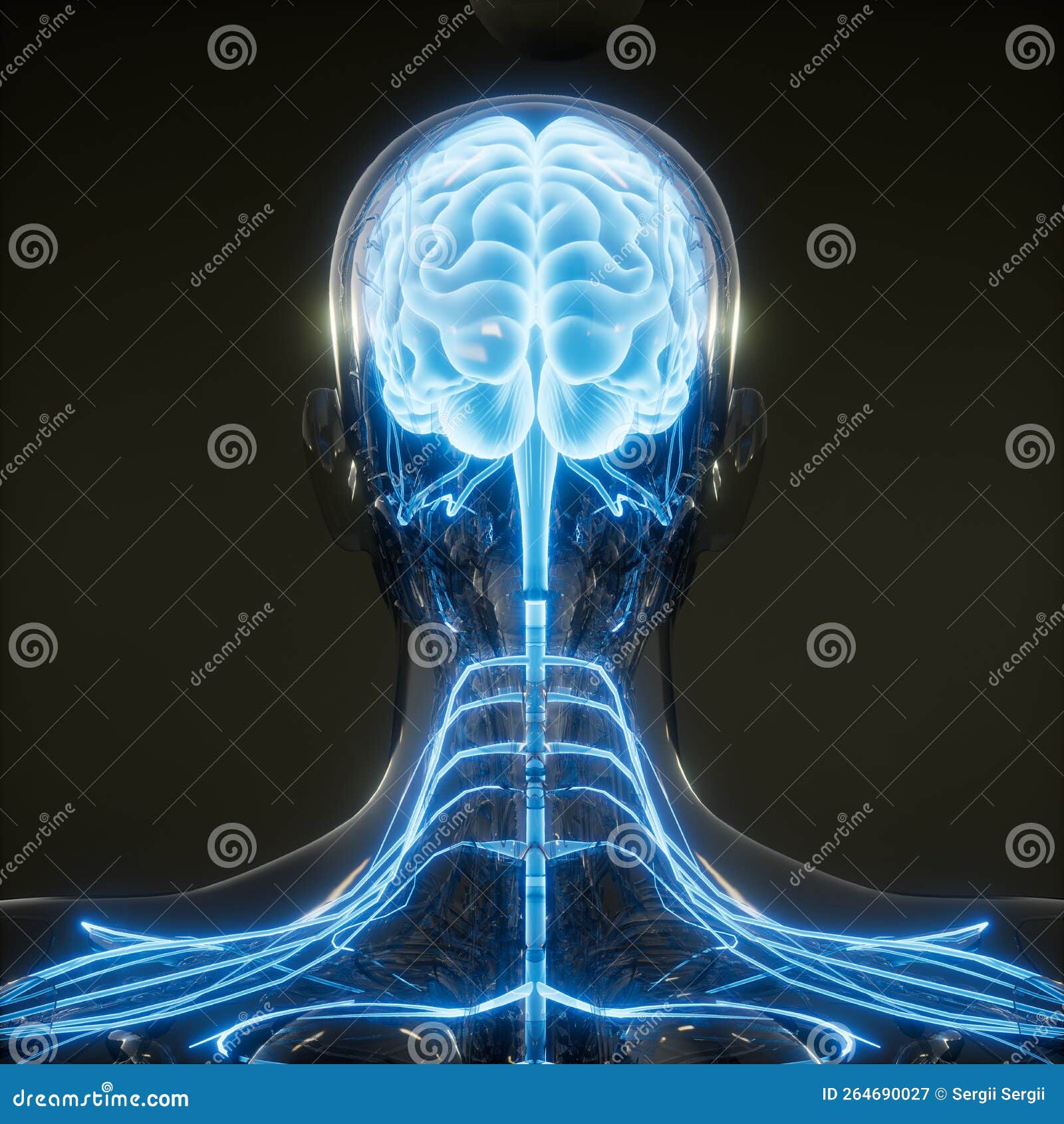 Human Brain Radiology Exam stock illustration. Illustration of genetic ...