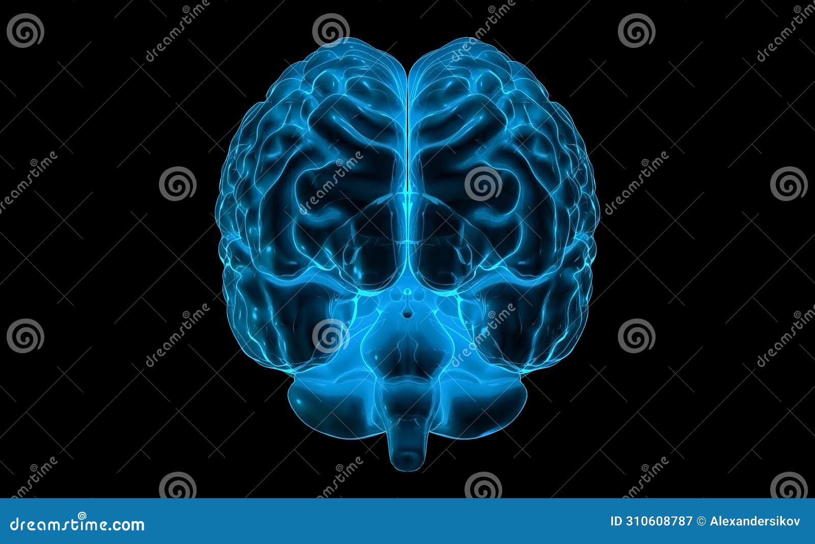 Human Brain X-Ray: Anatomy, Medicine and Science Concept Stock ...